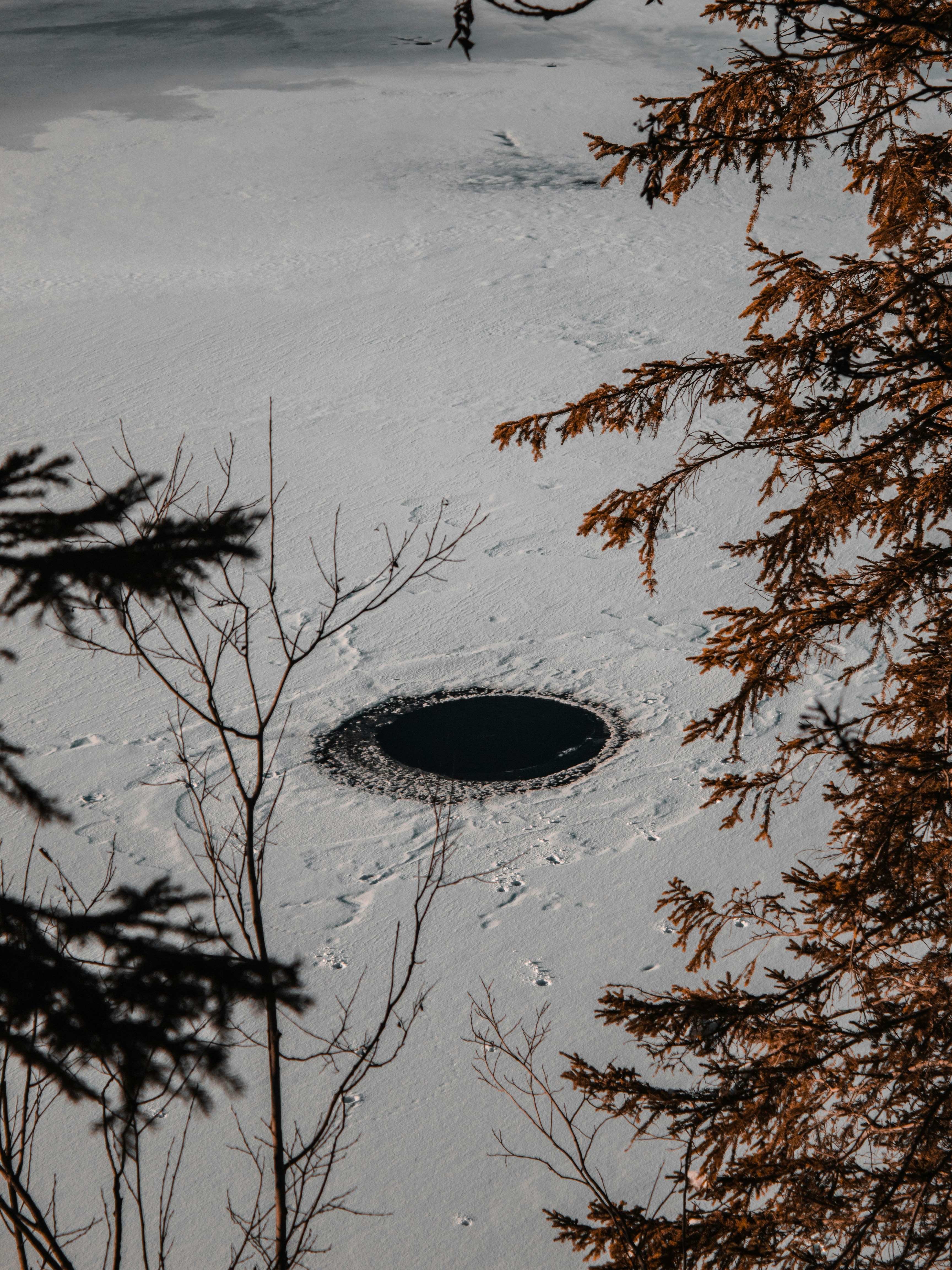 A hole in the snow surrounded by trees photo – Free Outdoors Image on ...