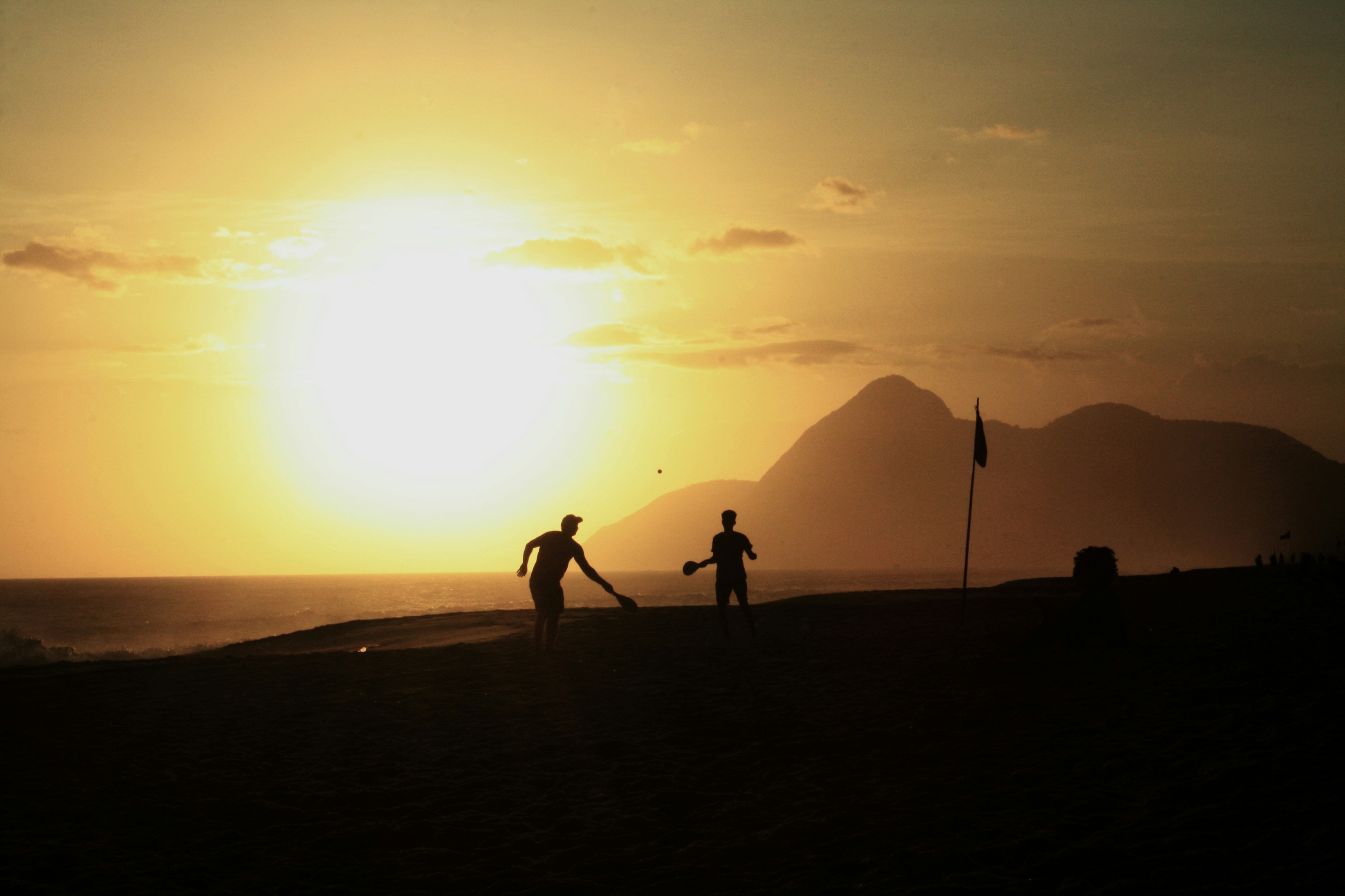 Dusk Duo on the Quiet Shore: Silhouettes Beneath a Golden Horizon