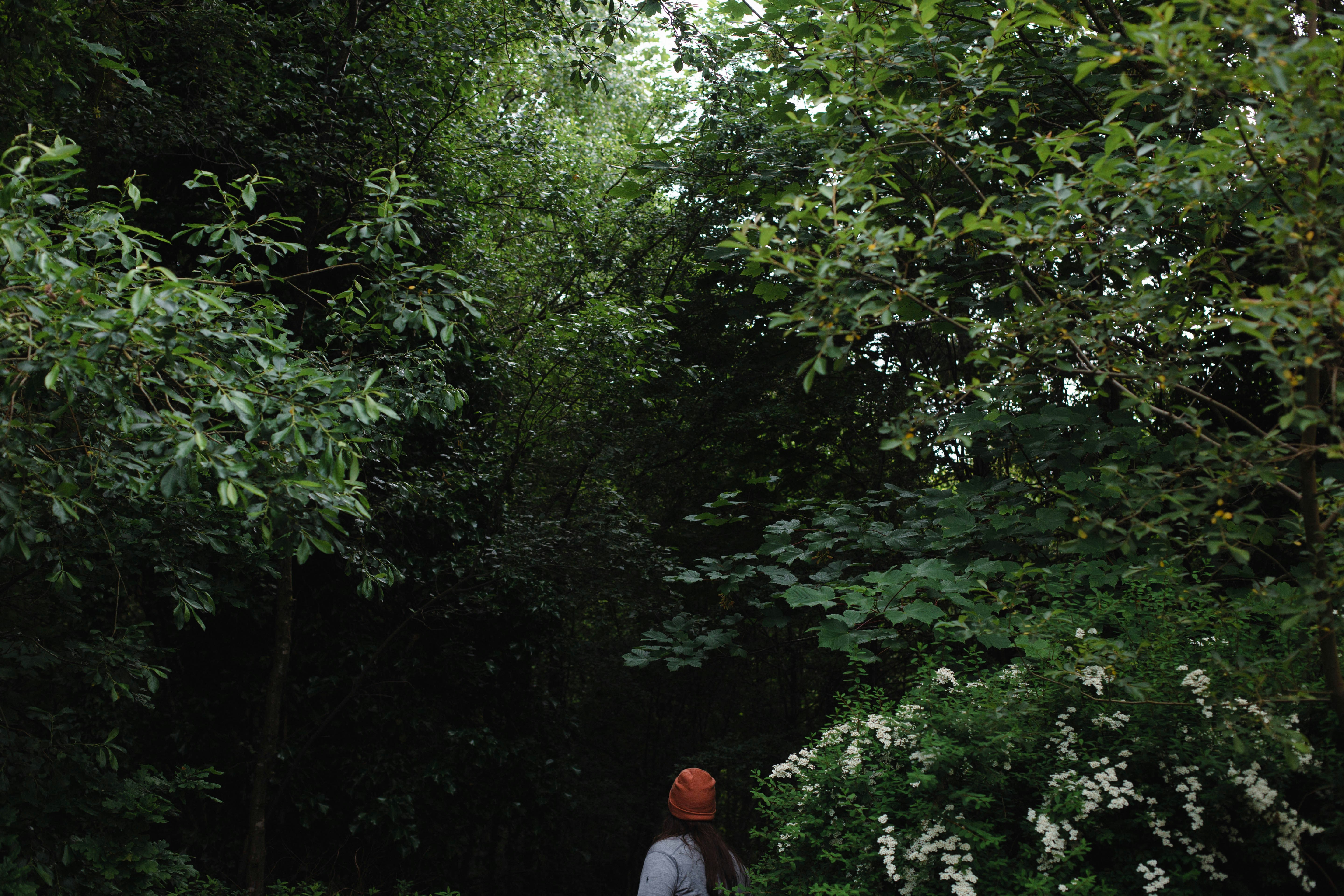 The Quiet Gateway: A Figure Beneath the Green Archway
