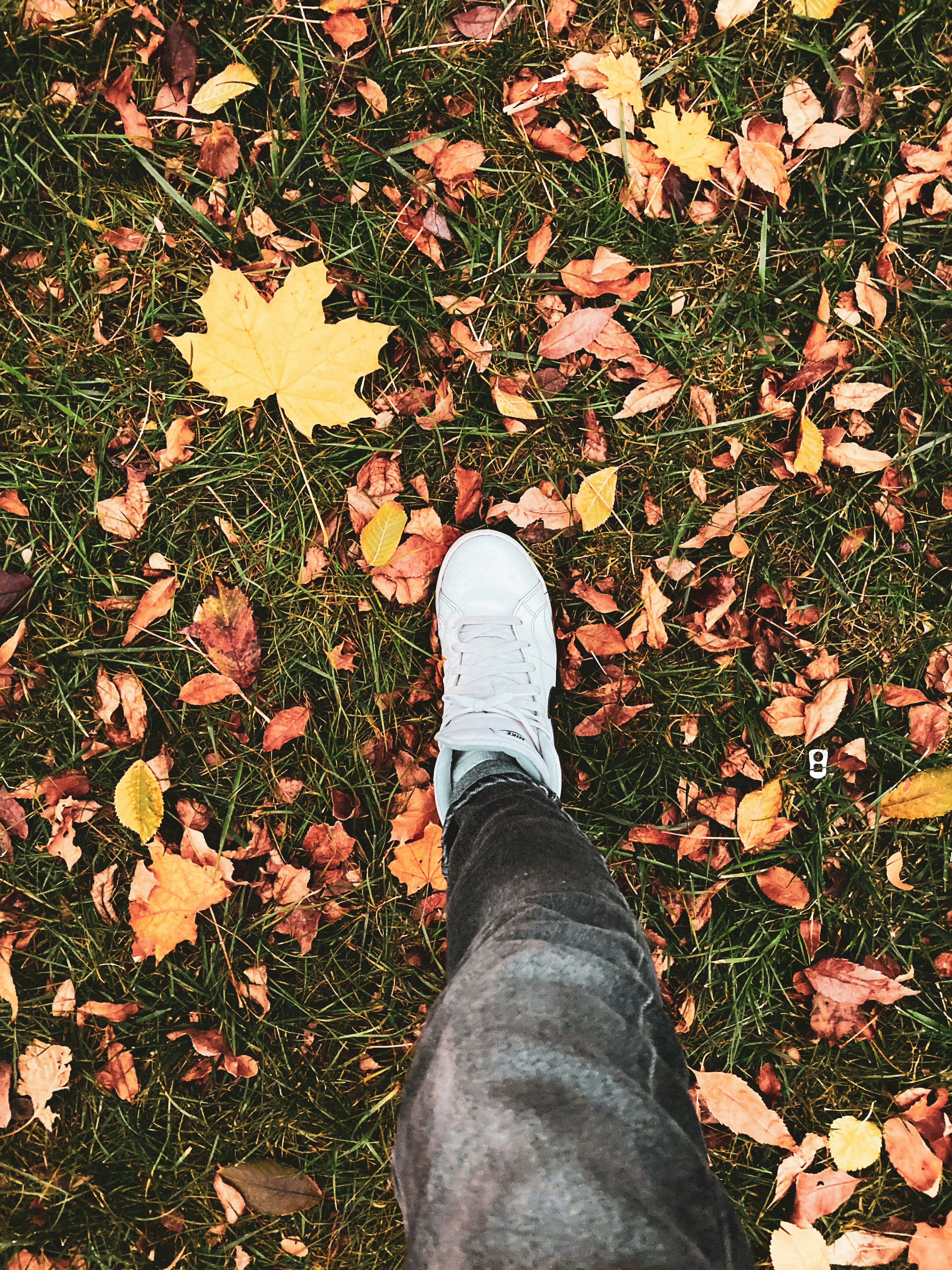 Daniel Cosma (@xdanyx) | Comunidade de fotos da Unsplash