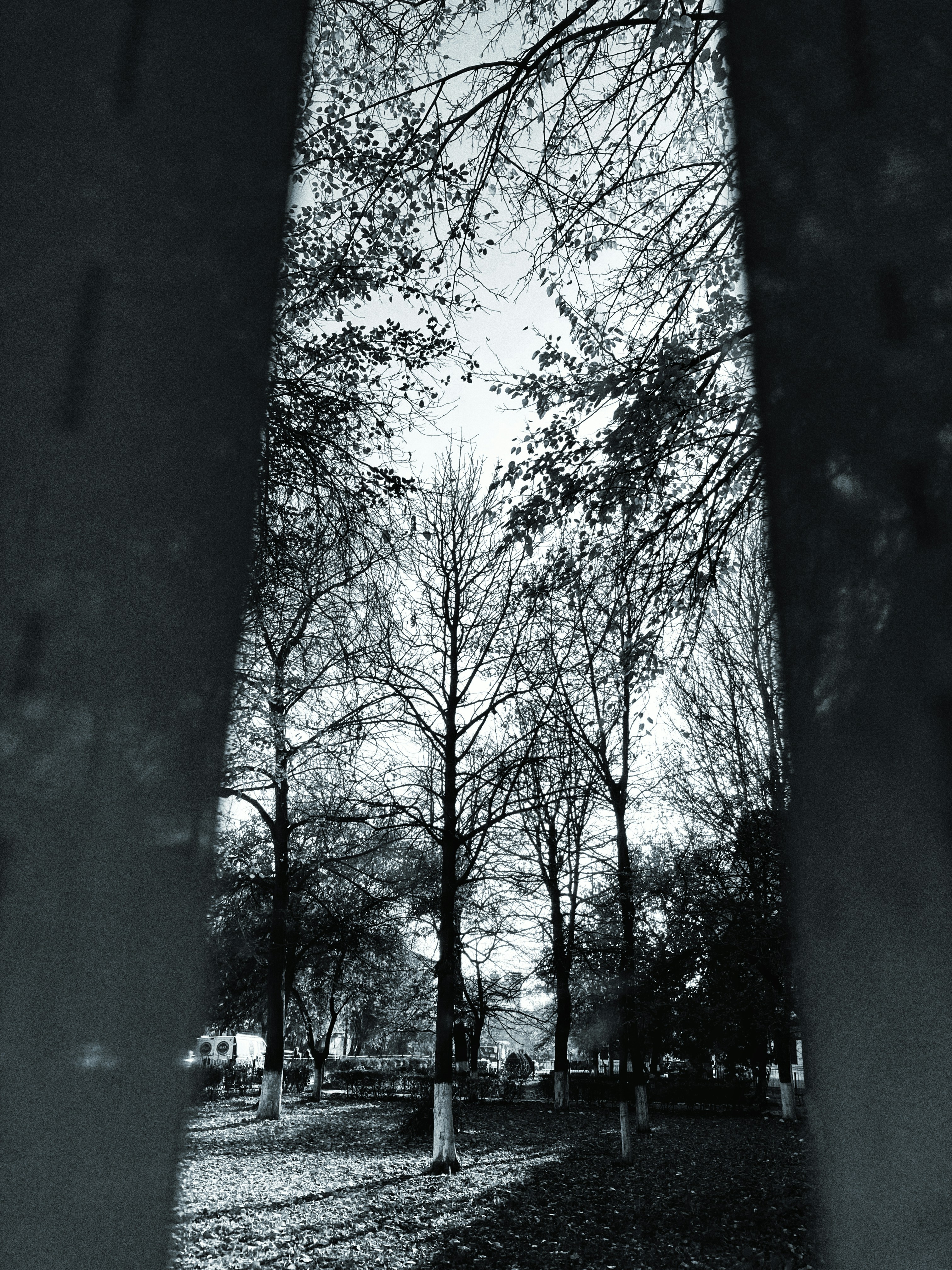 Daniel Cosma (@xdanyx) | Comunidade de fotos da Unsplash