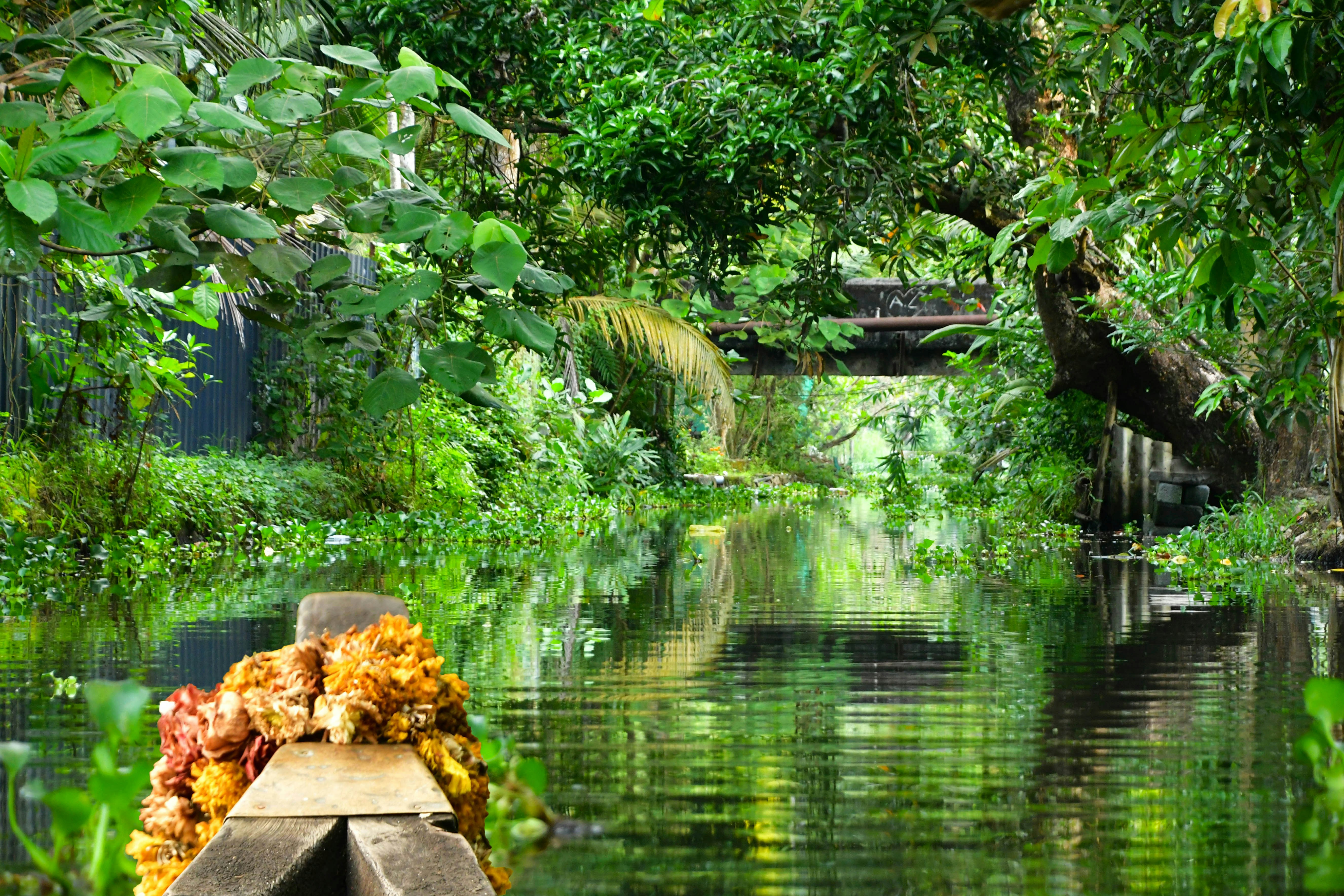 A tranquil waterway framed by lush greenery, with a wooden boat adorned with flowers resting at the foreground. The still water mirrors the vibrant foliage above.
