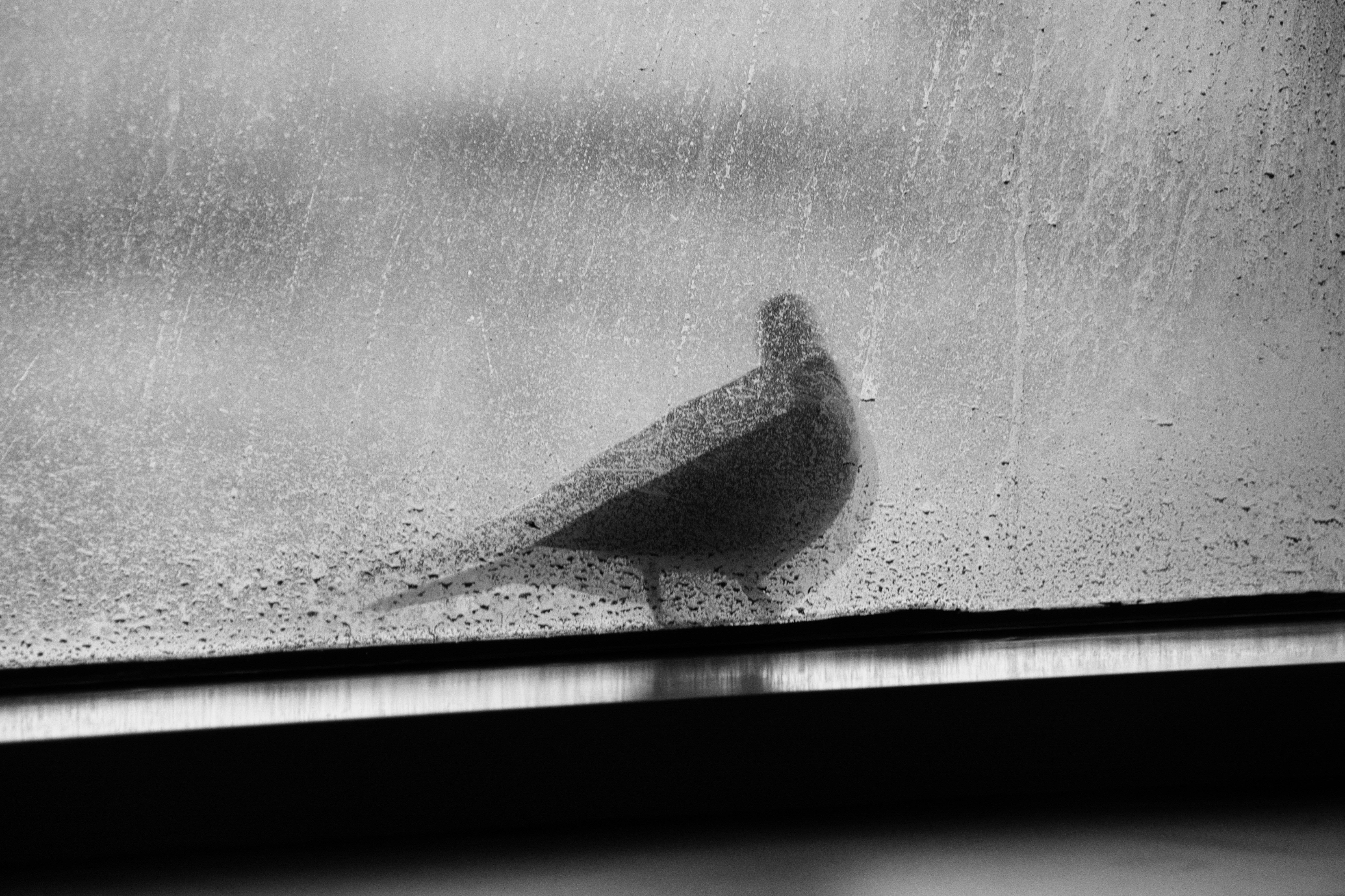 Photo by Modar Kajo with Nikon D7100