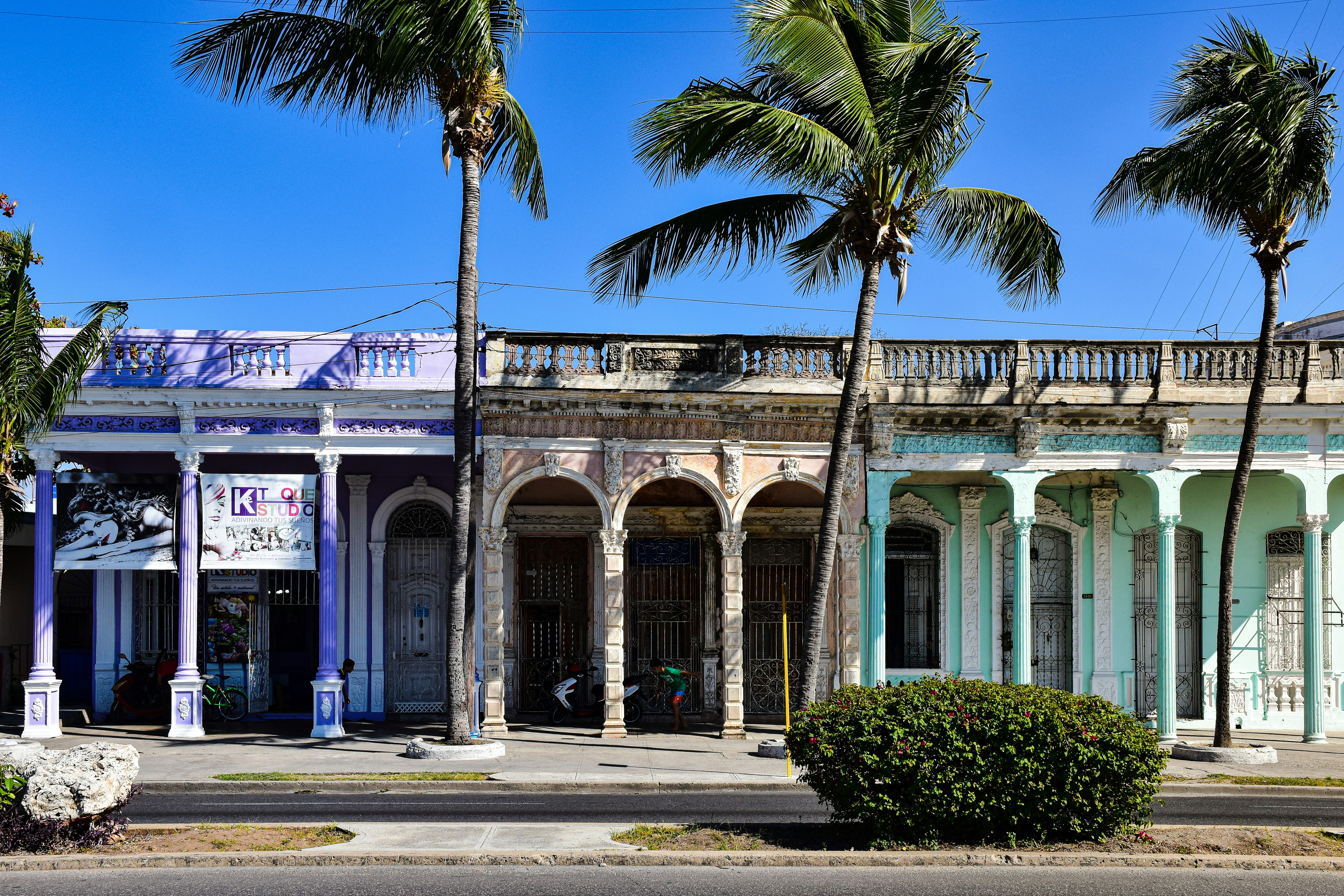 A row of palm trees in front of a building photo – Free Cuba Image on ...