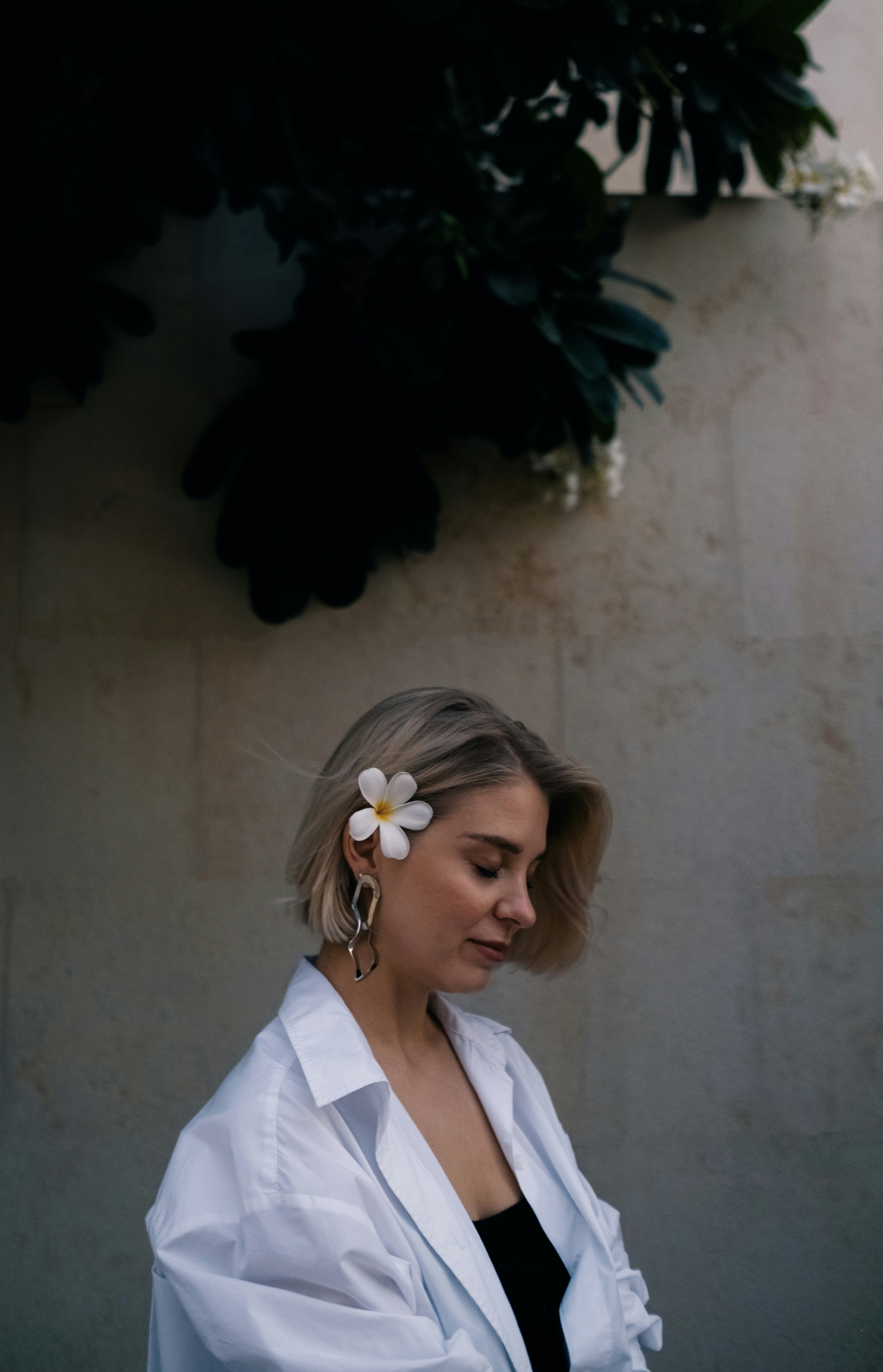 Petals in Pause: Quiet Portrait Under a Silent Canopy