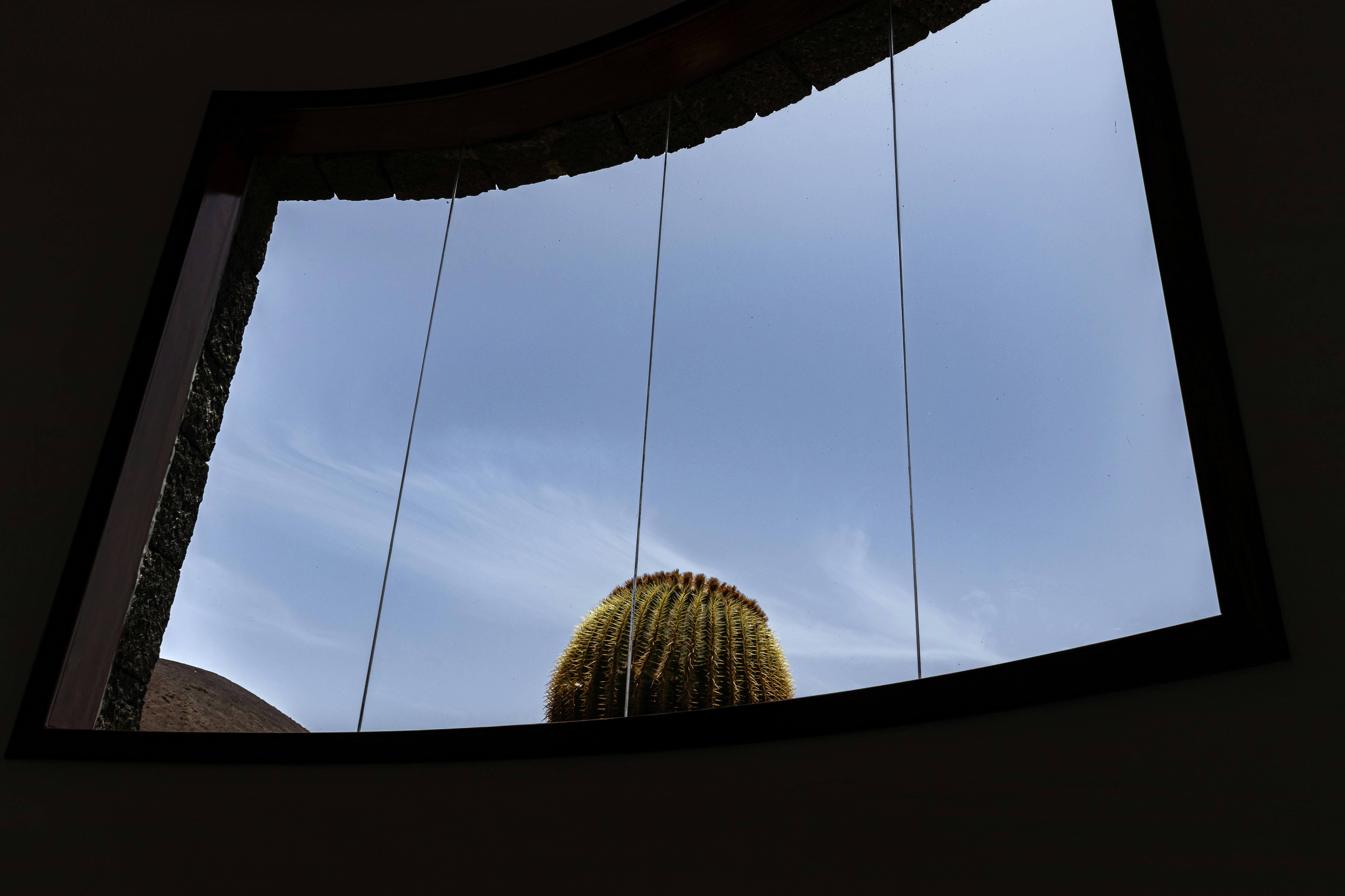A view of a cactus through a window photo – Free Cactus Image on Unsplash