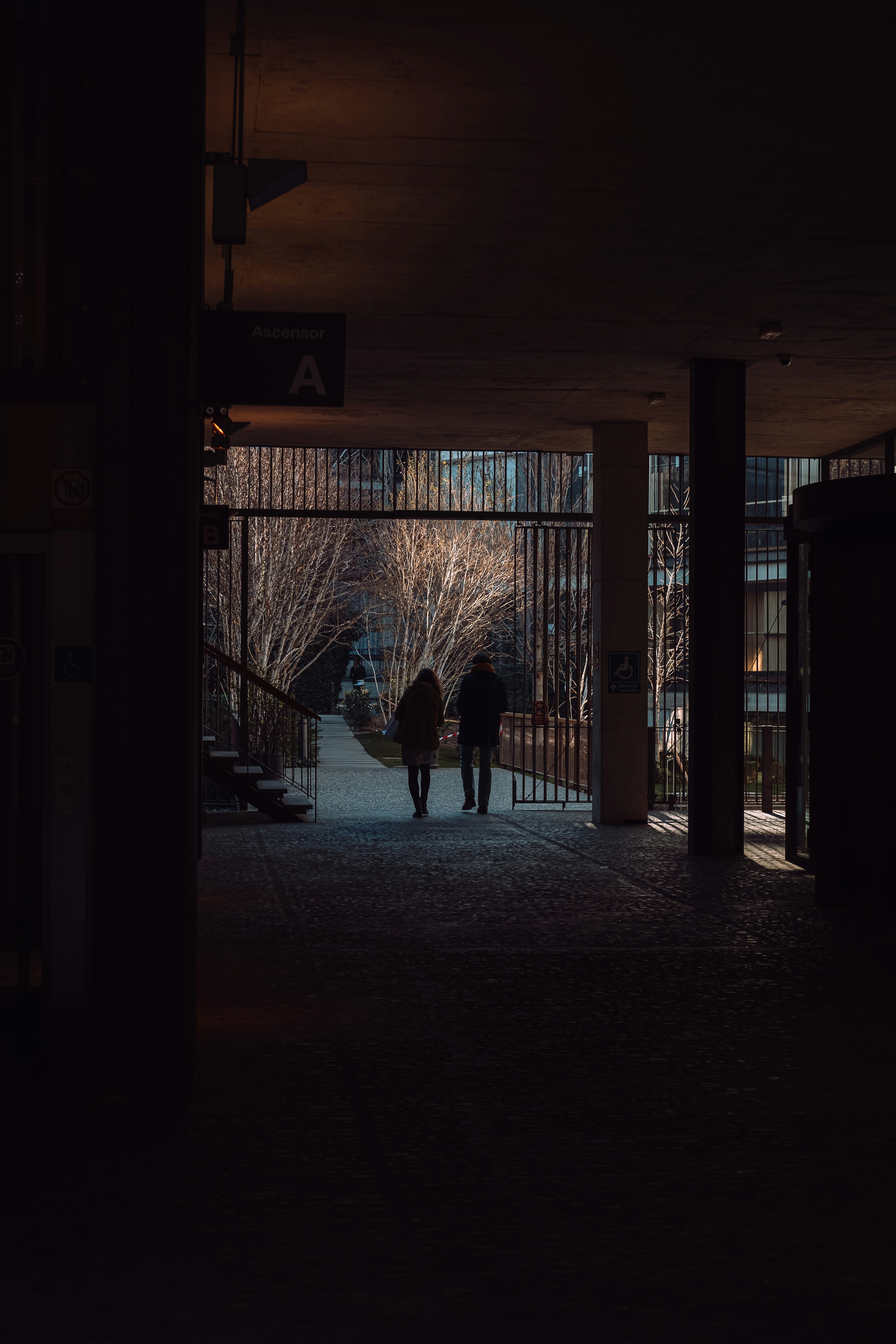 Threshold of Light: Two Silhouettes Framed in a Shadowed Corridor