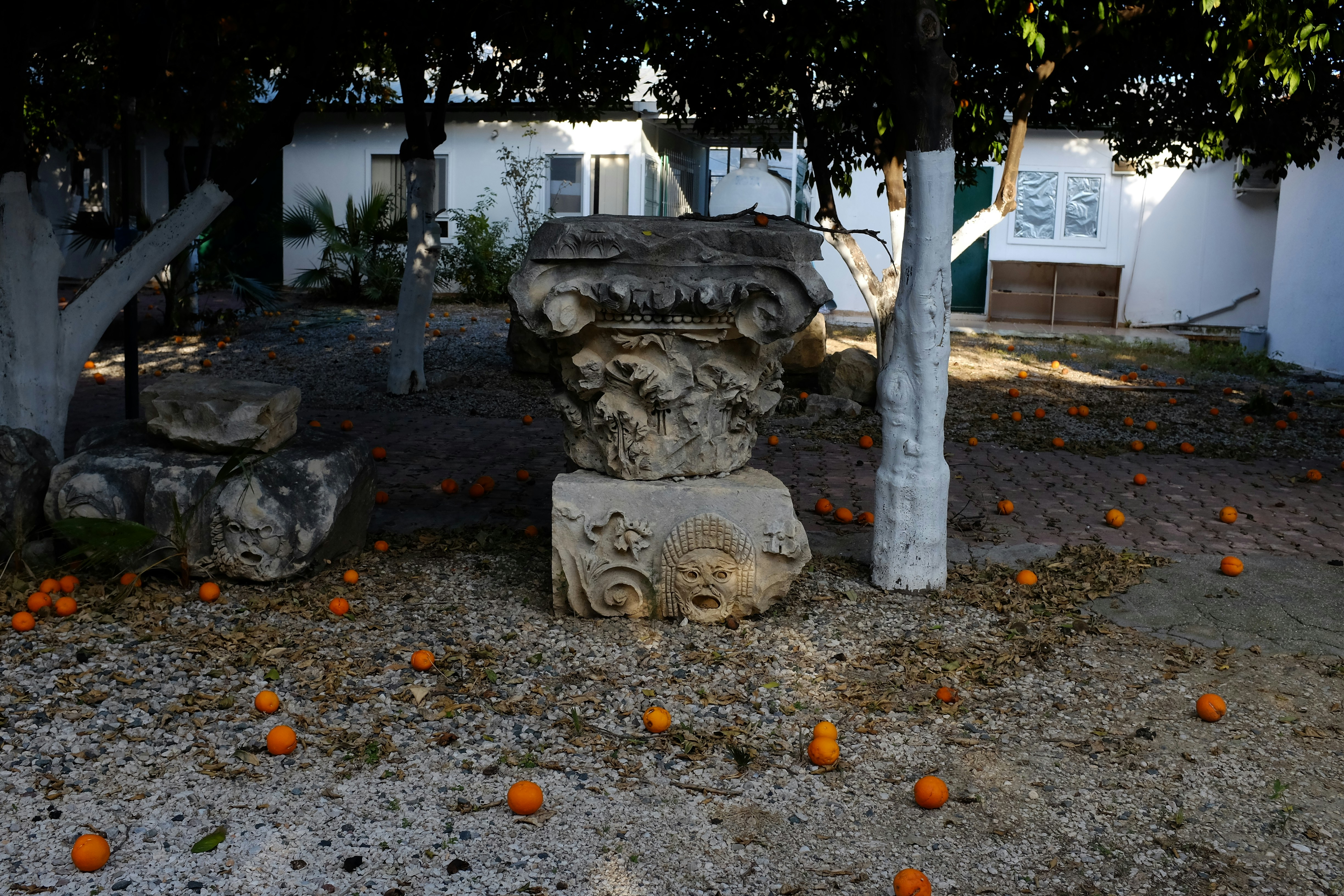 a bunch of oranges that are on the ground