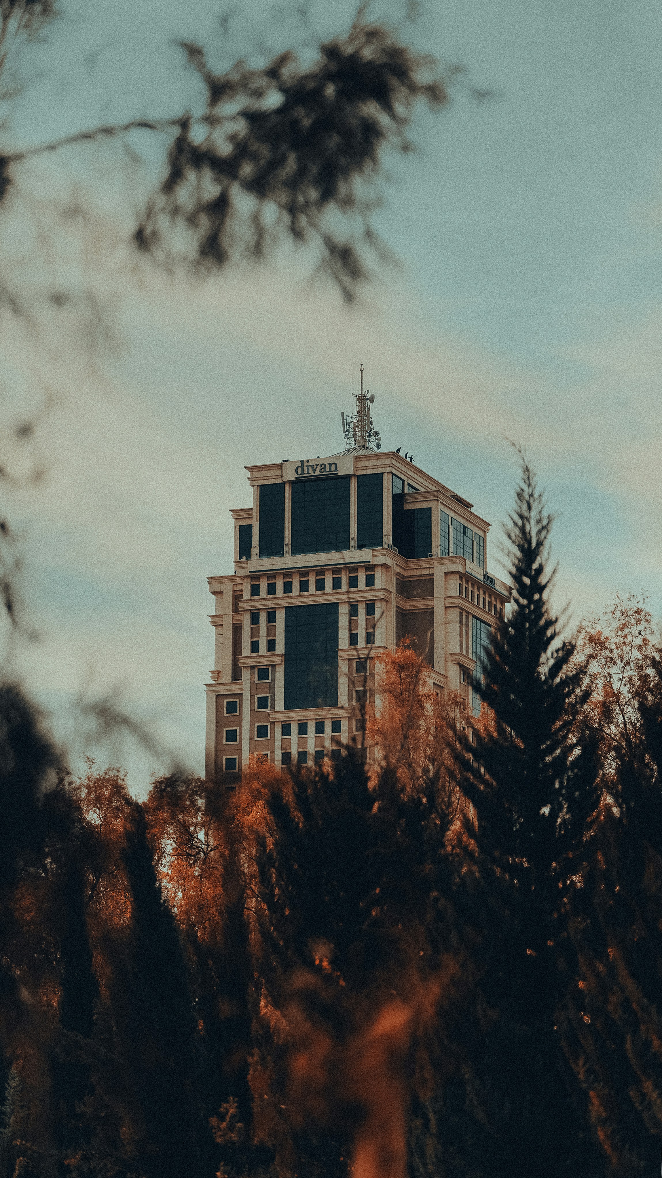 Urban Oasis: The Divan Tower Amidst Nature