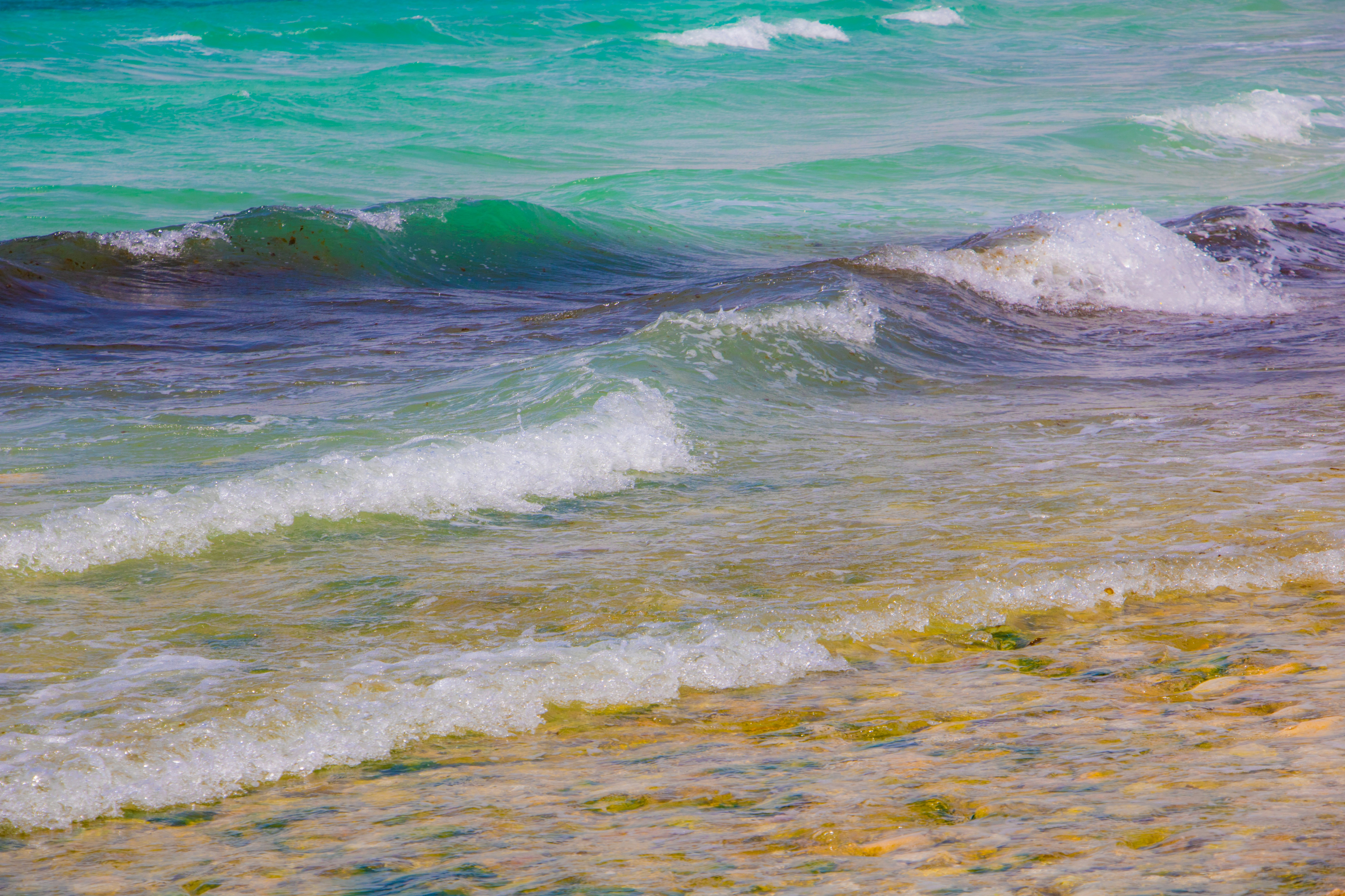 Turquoise Ribbon: Waves Break Across a Sunlit Shore