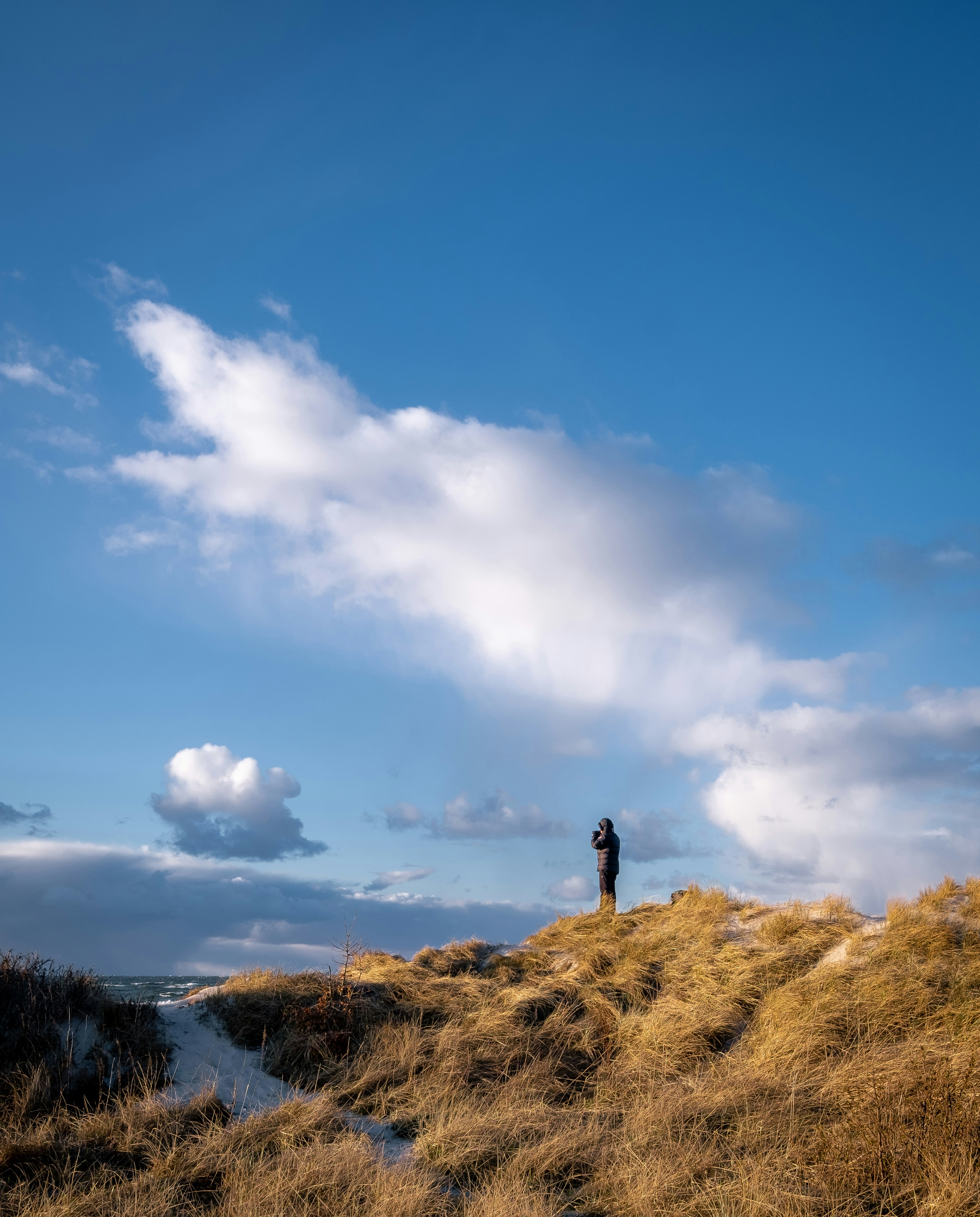 Photo by Michael Held with Fujifilm X-T4