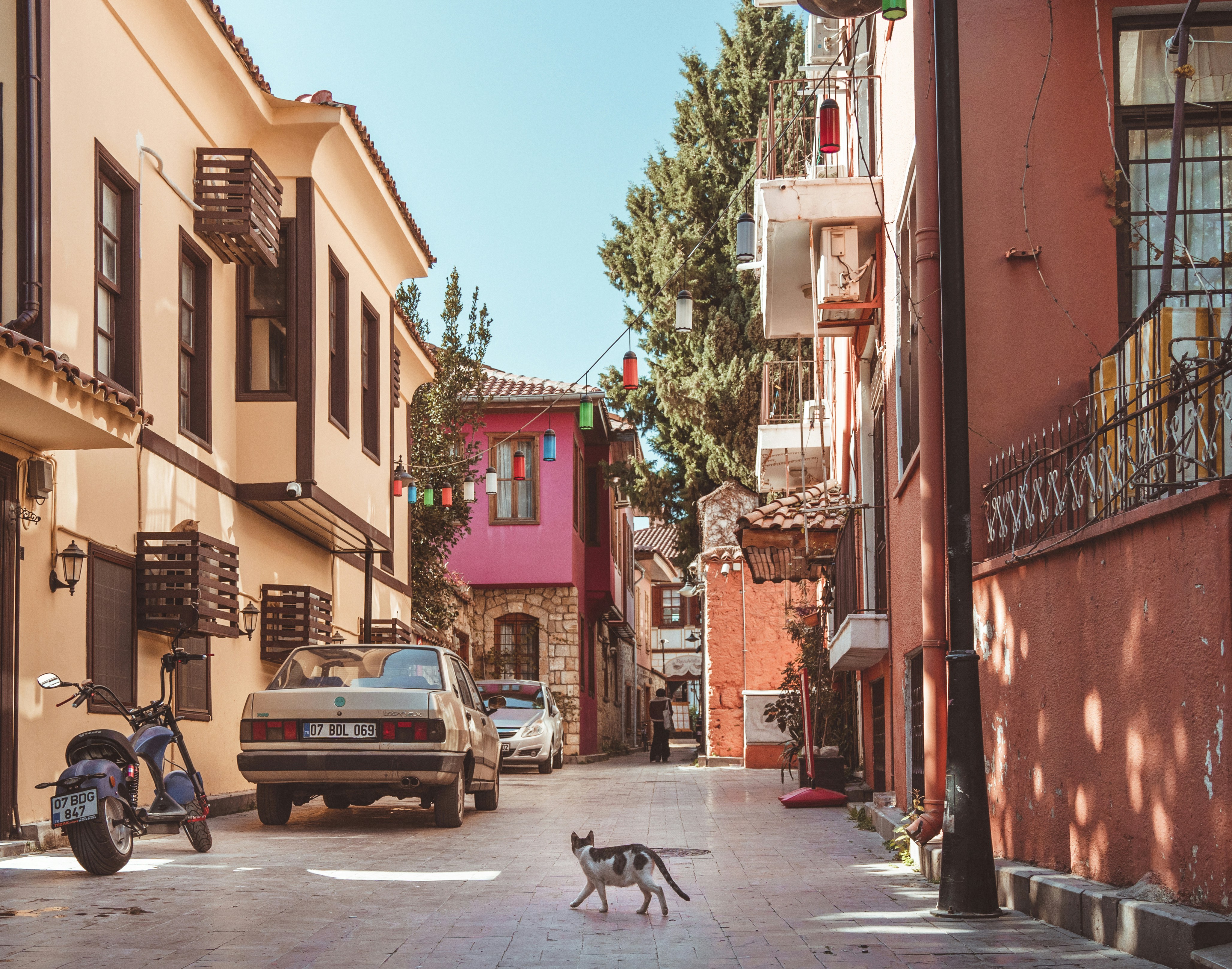 A curious cat strolls through a vibrant, narrow alley adorned with charming buildings in various hues. The scene captures the essence of urban life infused with character.