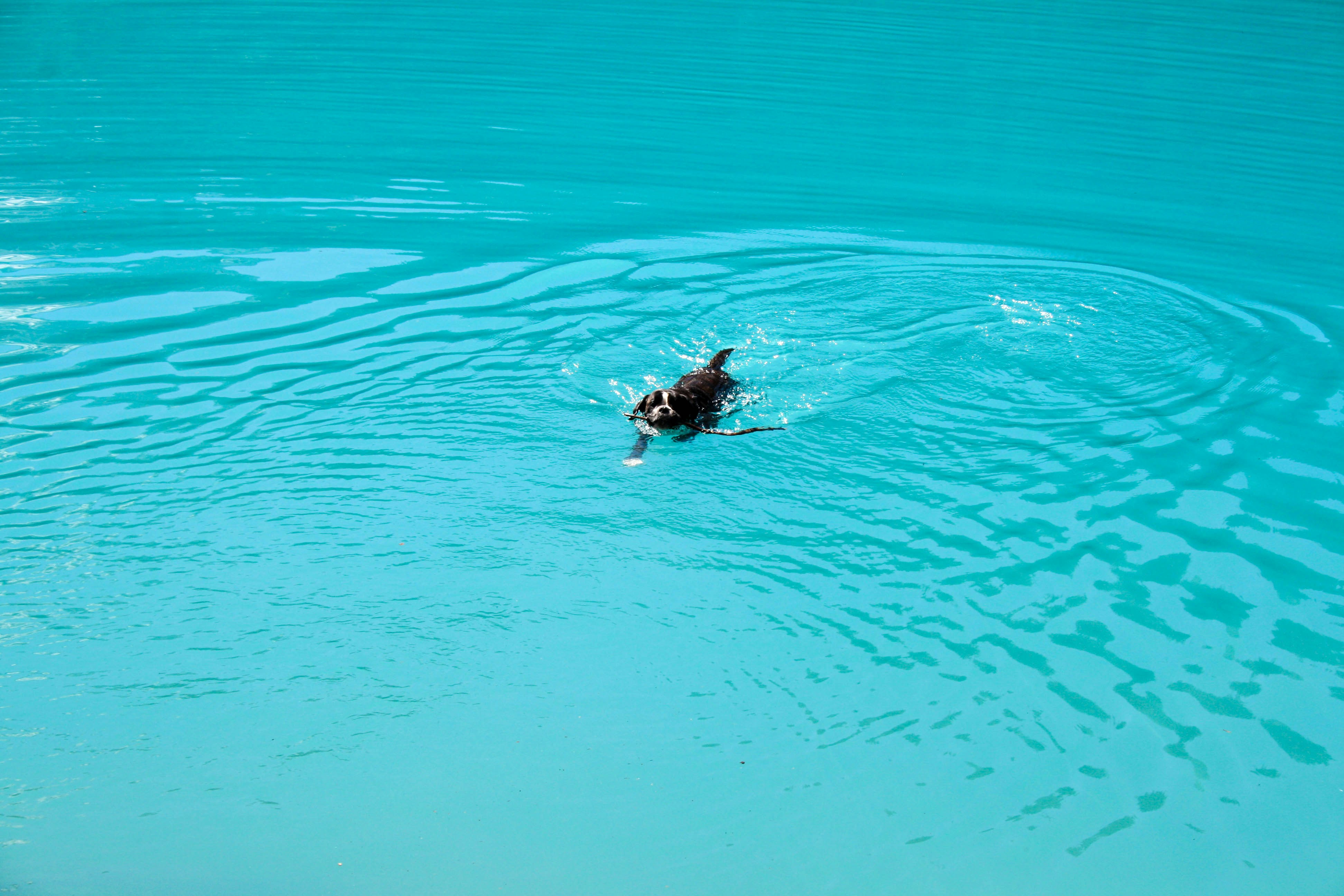 Mid-Center Ripple: a lone swimmer in turquoise stillness