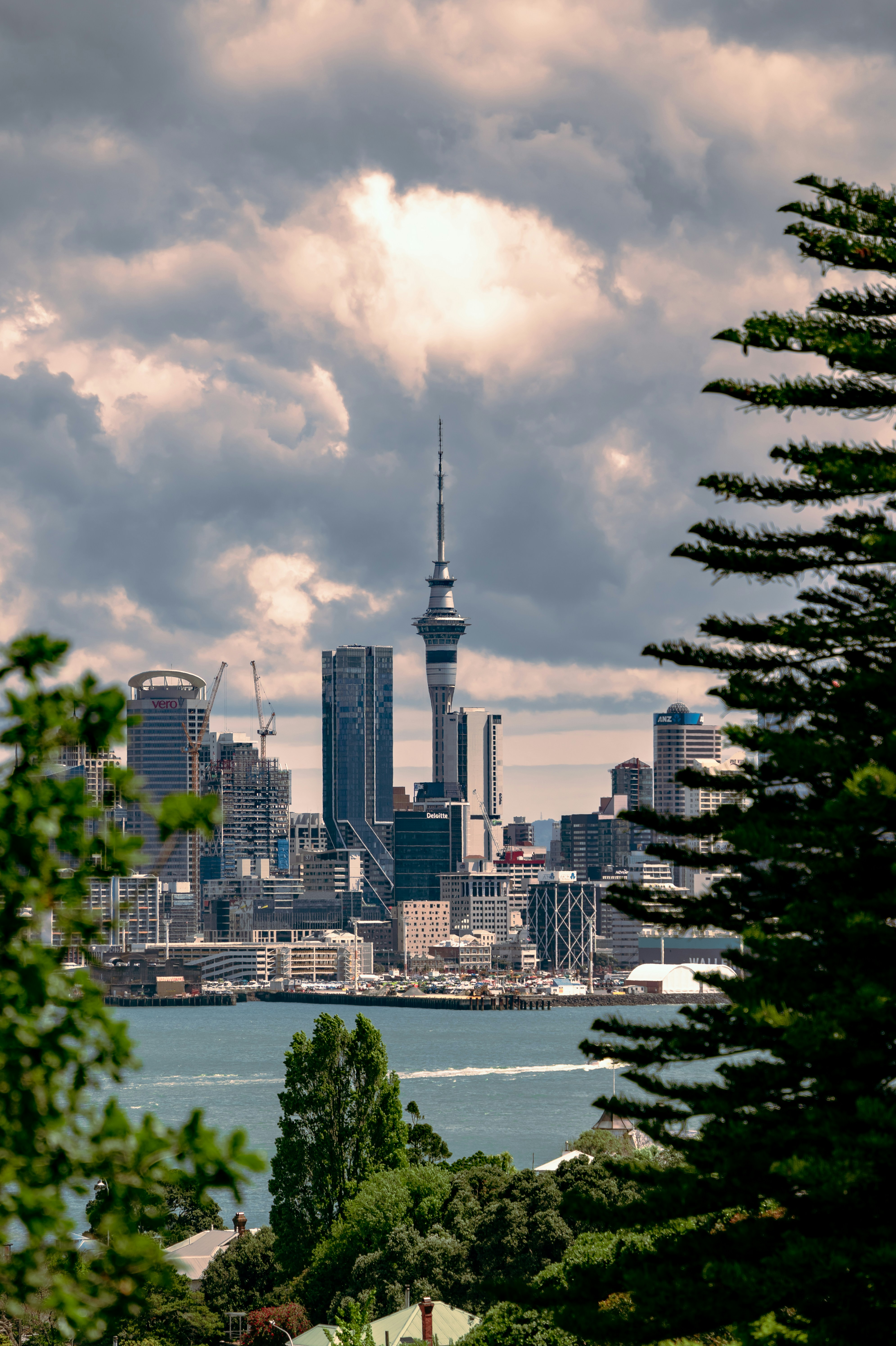 Auckland city and the sky tower through the trees. | a view of a city from across the water