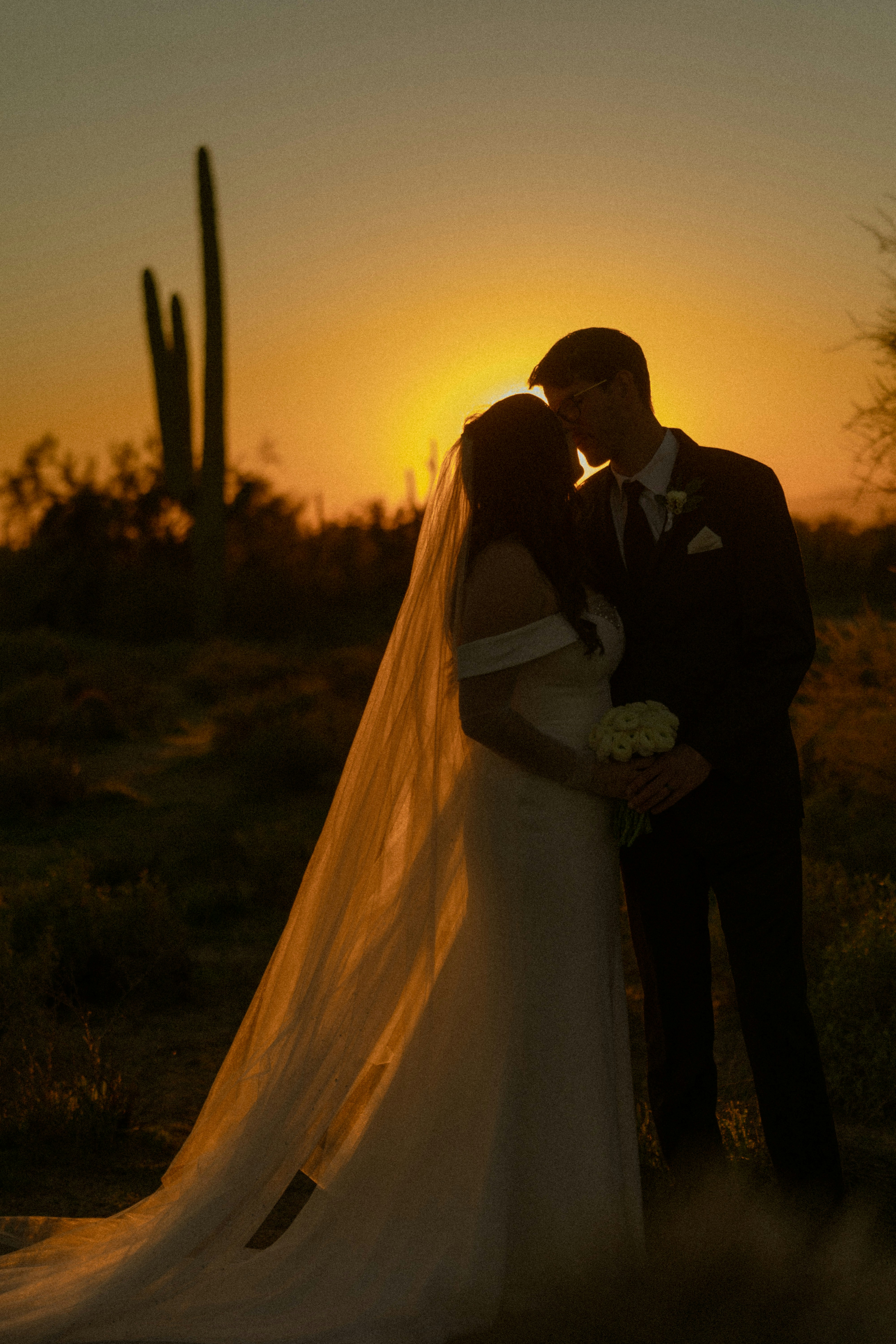 Last Light Embrace: Desert Sunset Wedding Silhouette
