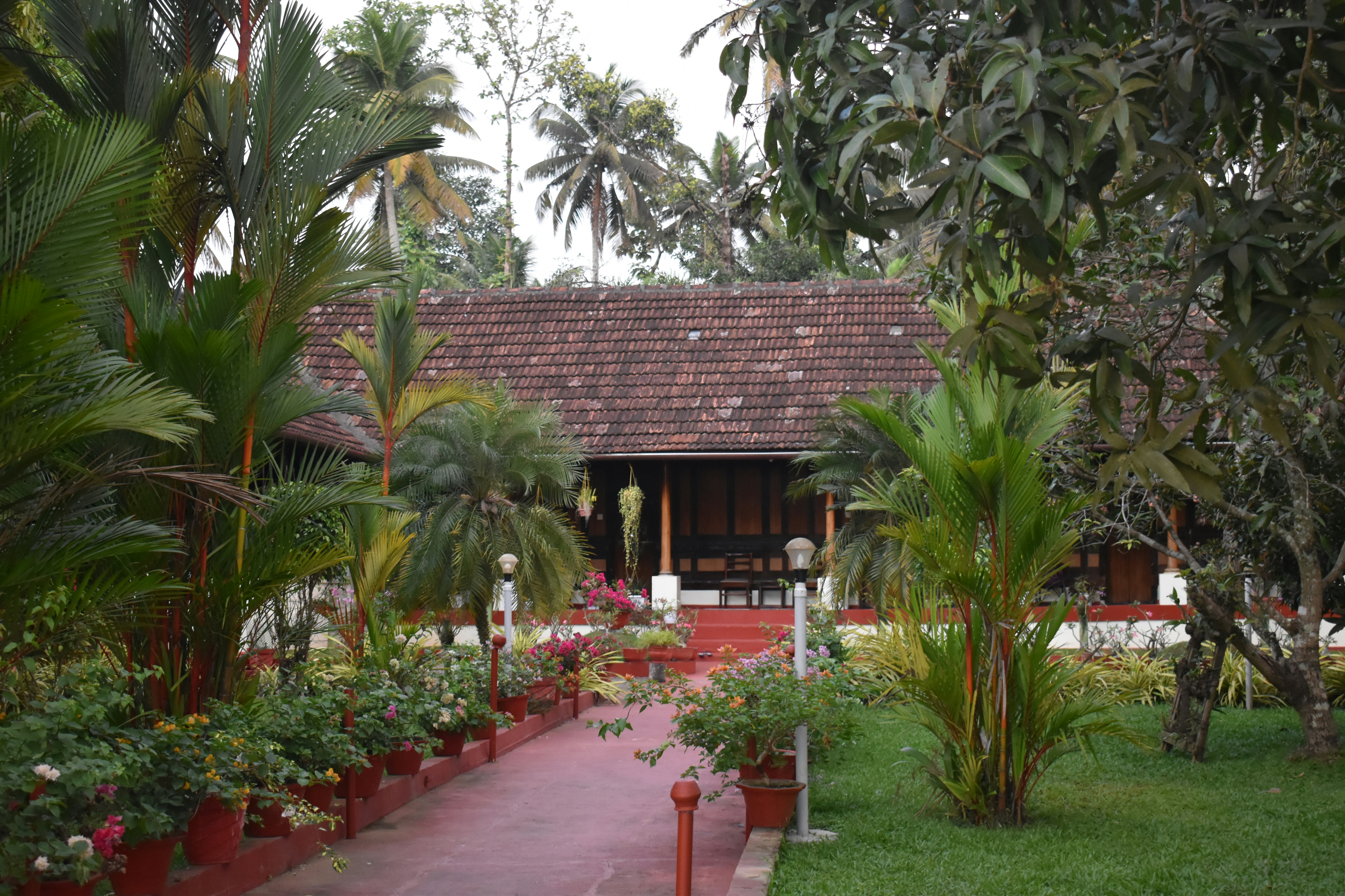 Typical Kerala Home | a house surrounded by lush green trees and plants