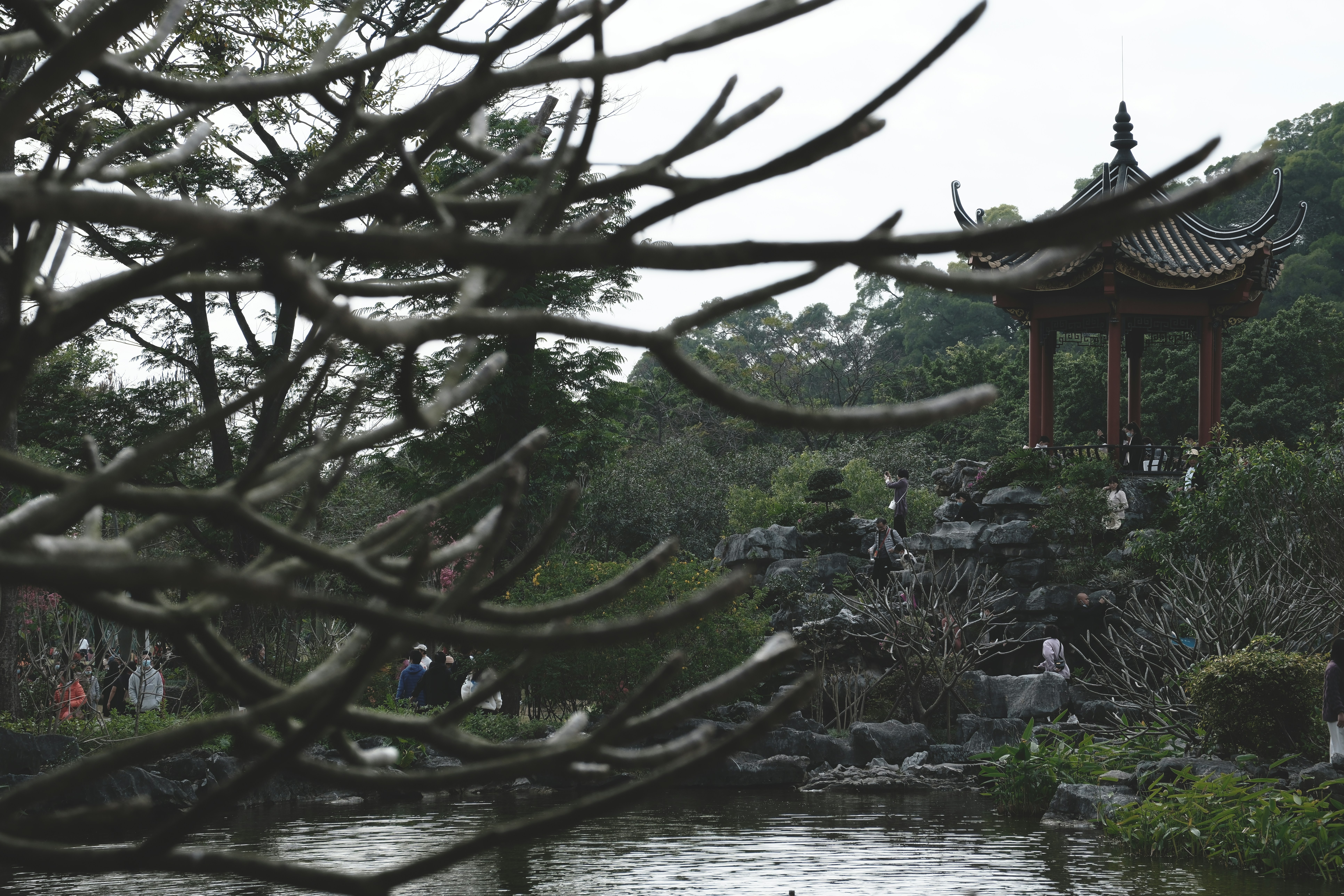 Whispers at the Pavilion: A Quiet Garden Moment Beyond the Branches