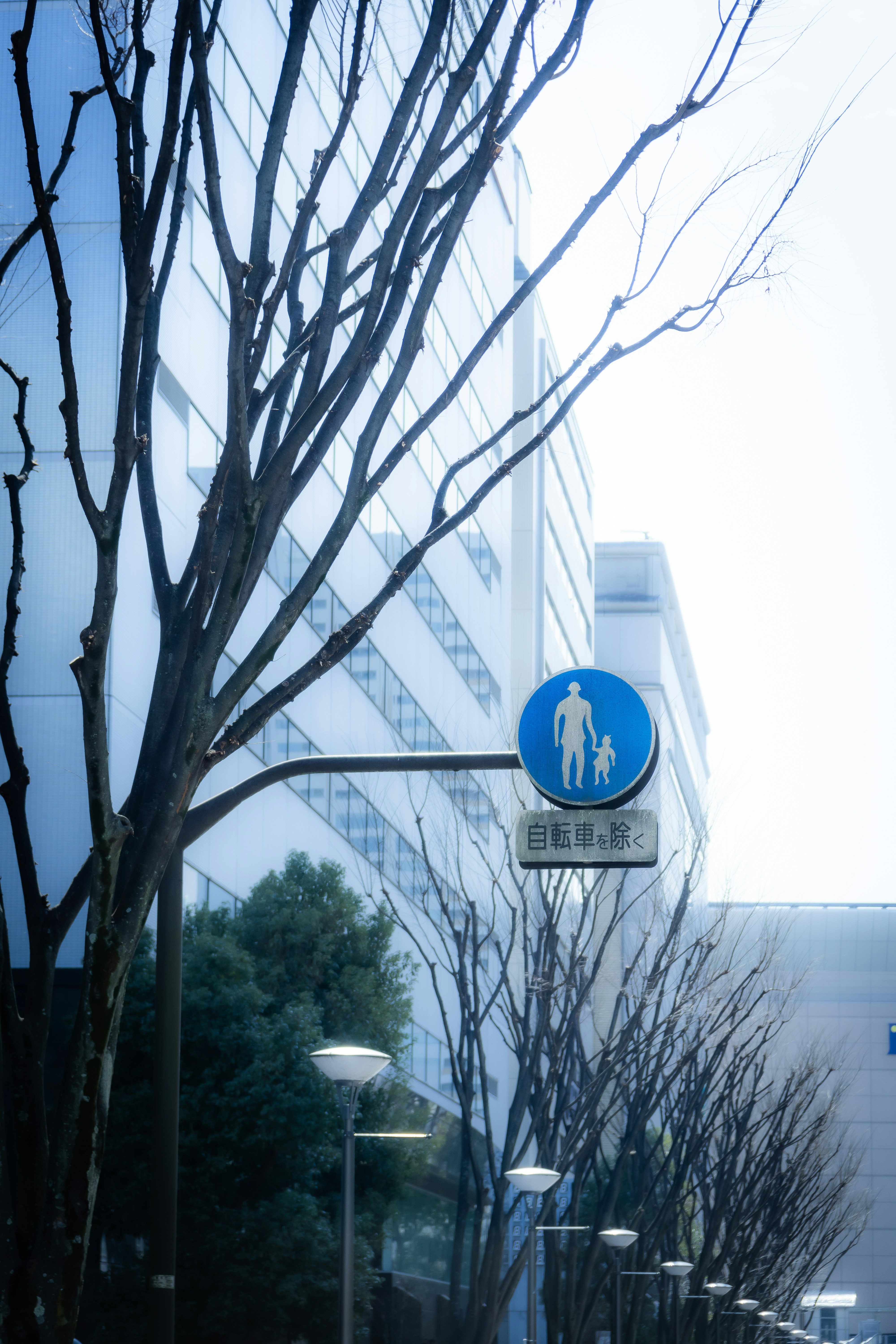 A blue sign hanging from the side of a building photo – Free Sign Image ...
