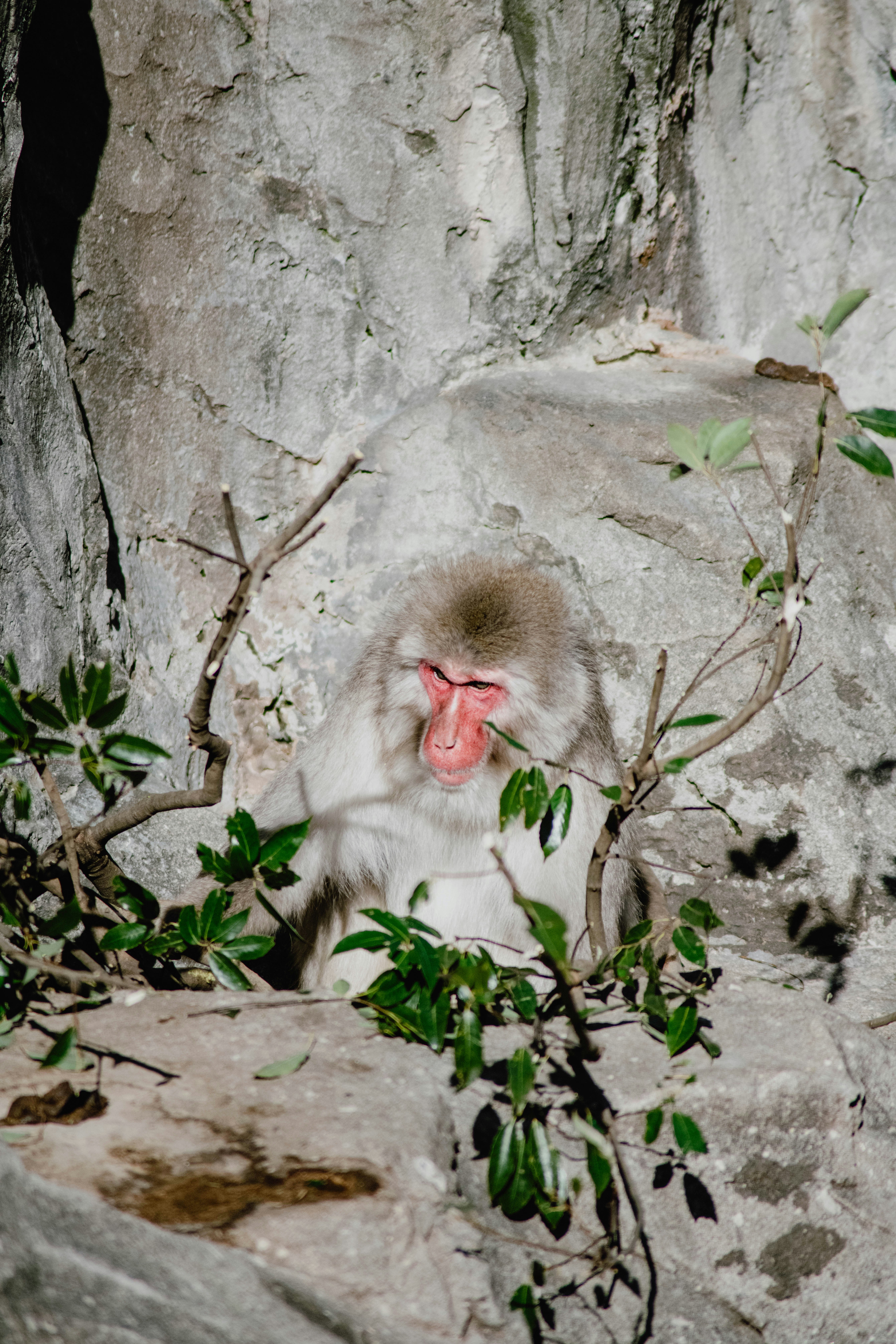 Photo by Mohamed Jamil Latrach with Nikon D850