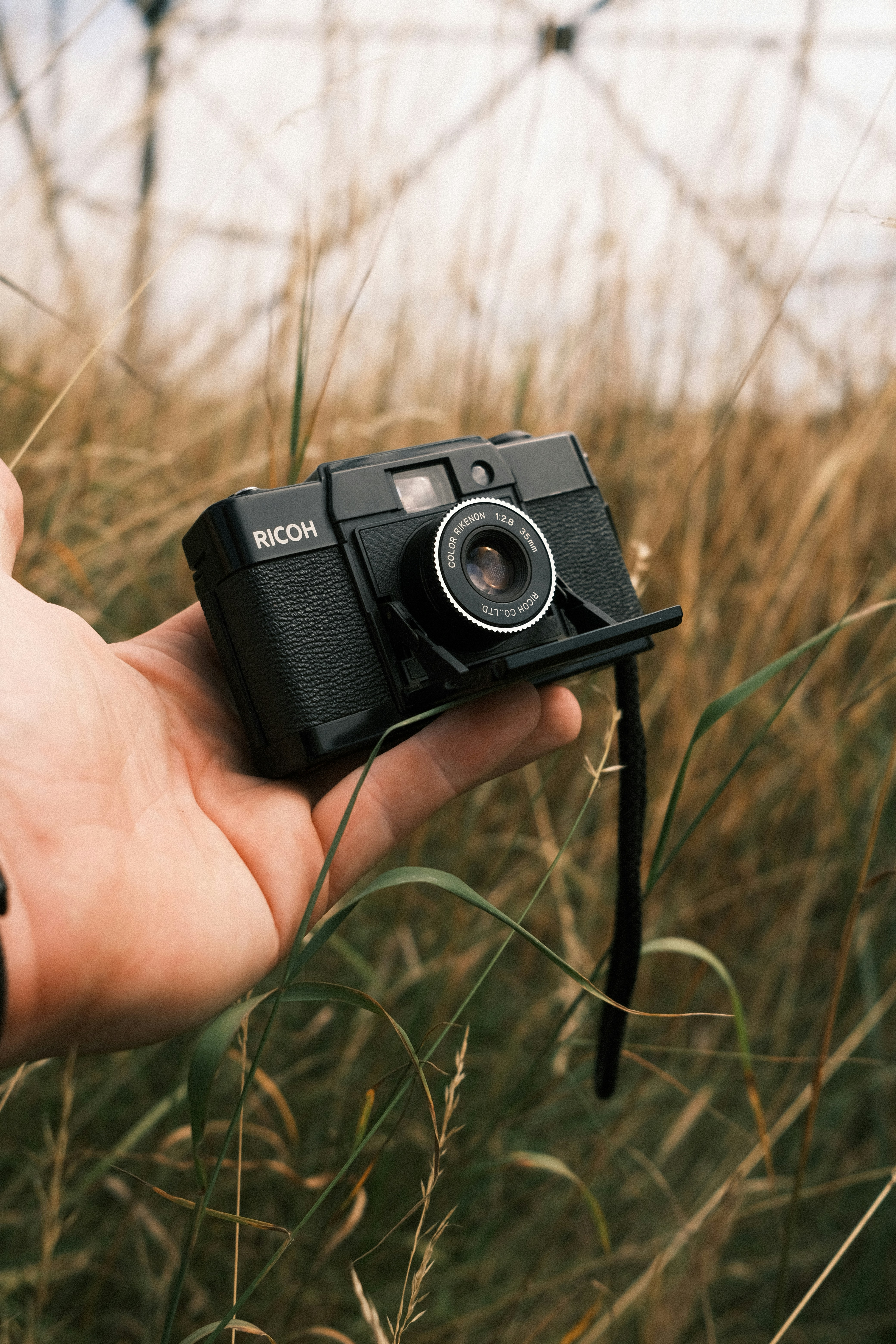 Cradled in Prairie Grass: A Handheld Ricoh Compact