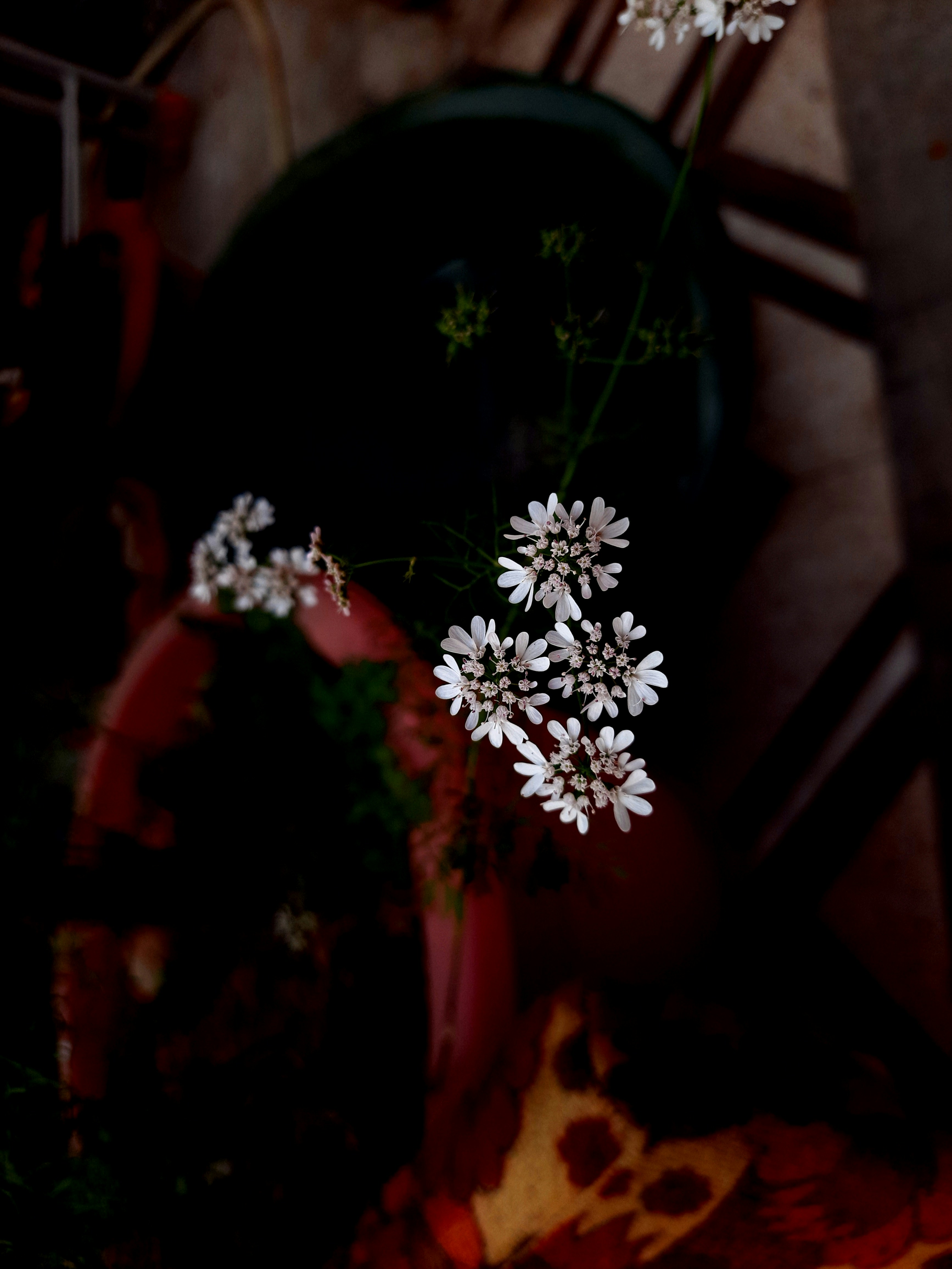 Photo by Adarsh Kumar Singh with Samsung Galaxy M31s