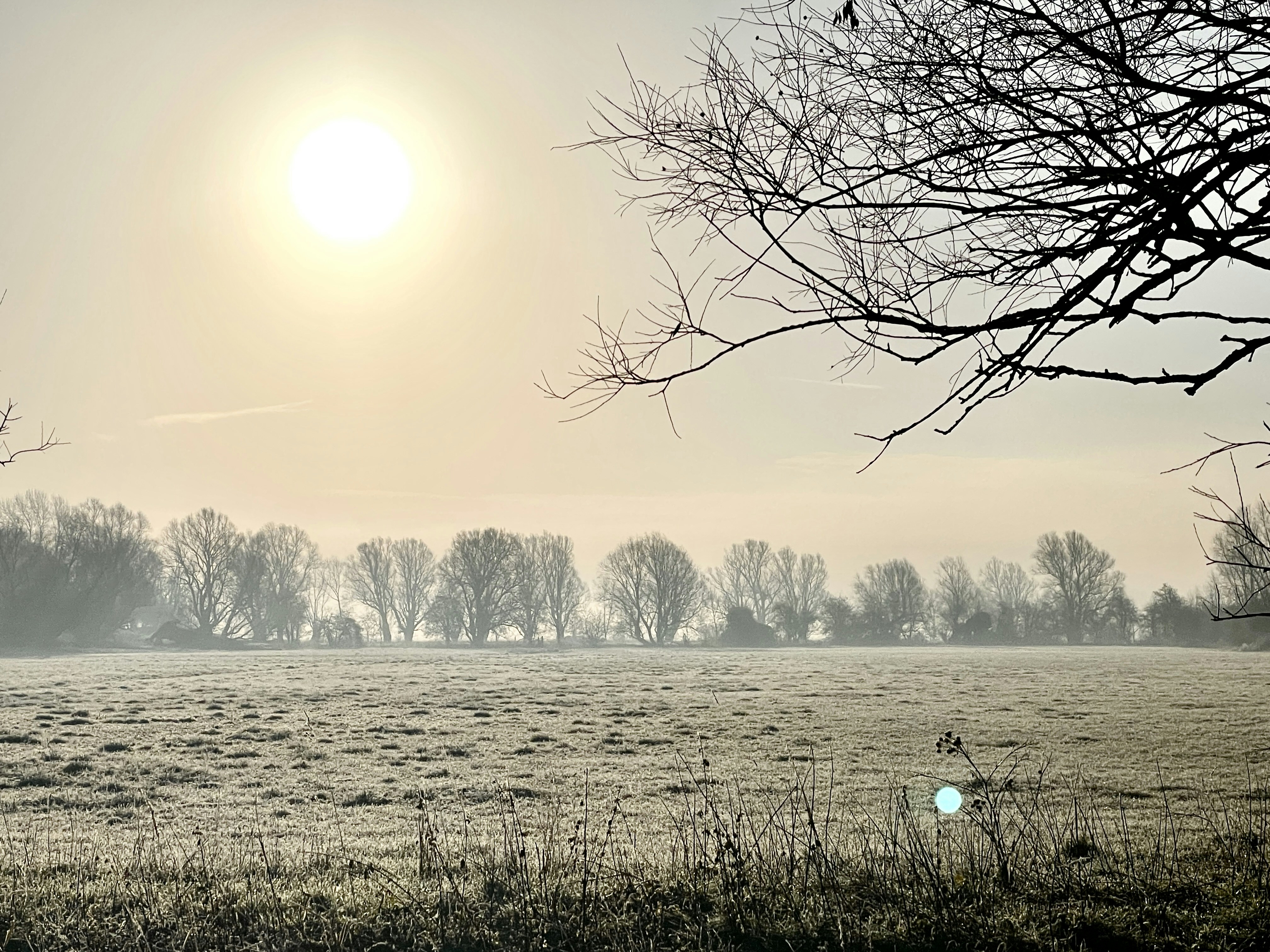 A serene landscape featuring a low sun rising over a frosty field, framed by bare trees. The soft light casts a gentle glow, enhancing the tranquil atmosphere.