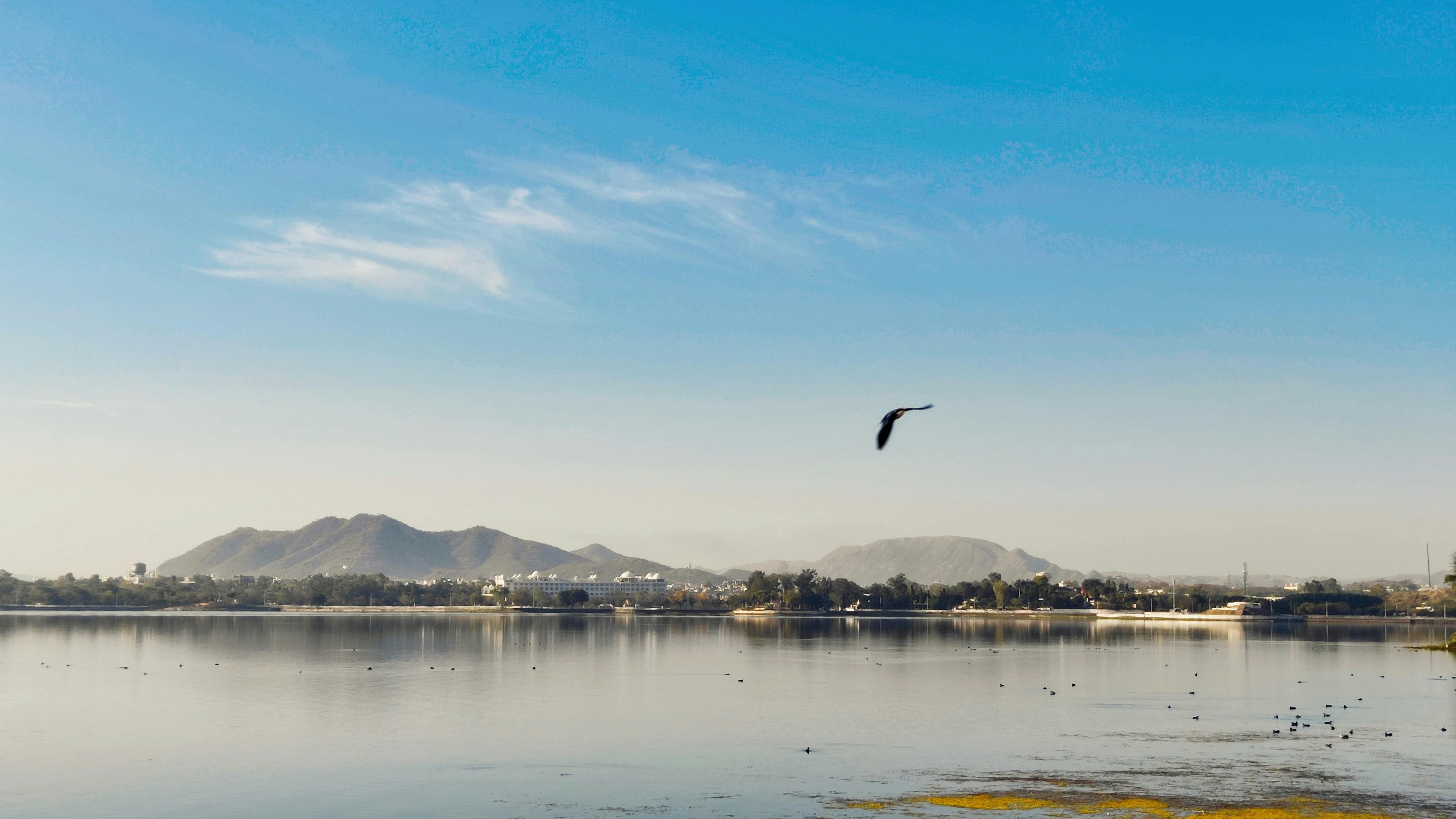 Wingbeat over a glassy lake: distant mountains frame a serene horizon