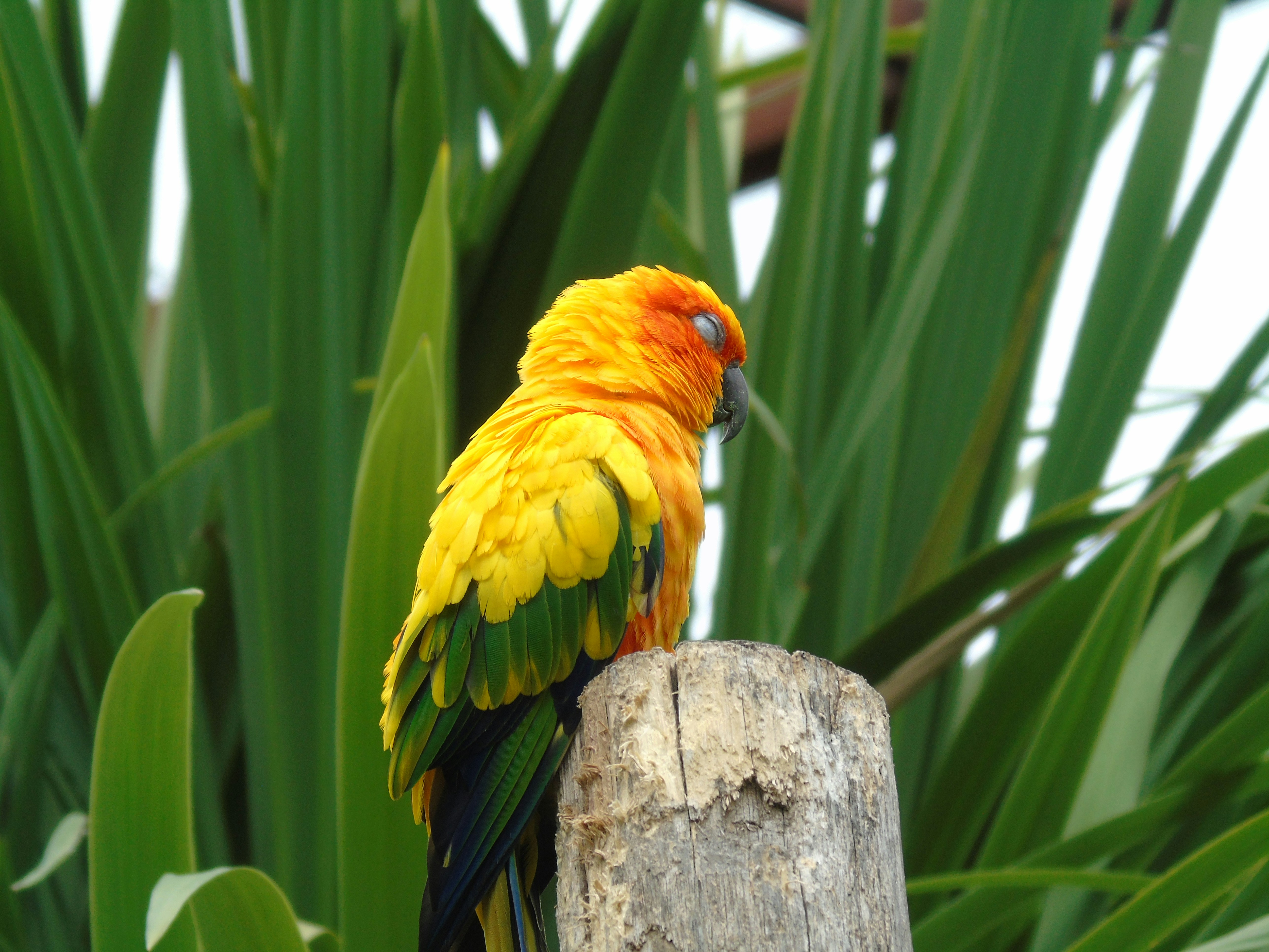 Photo by Elise Janssen with Sony Cyber-shot H400