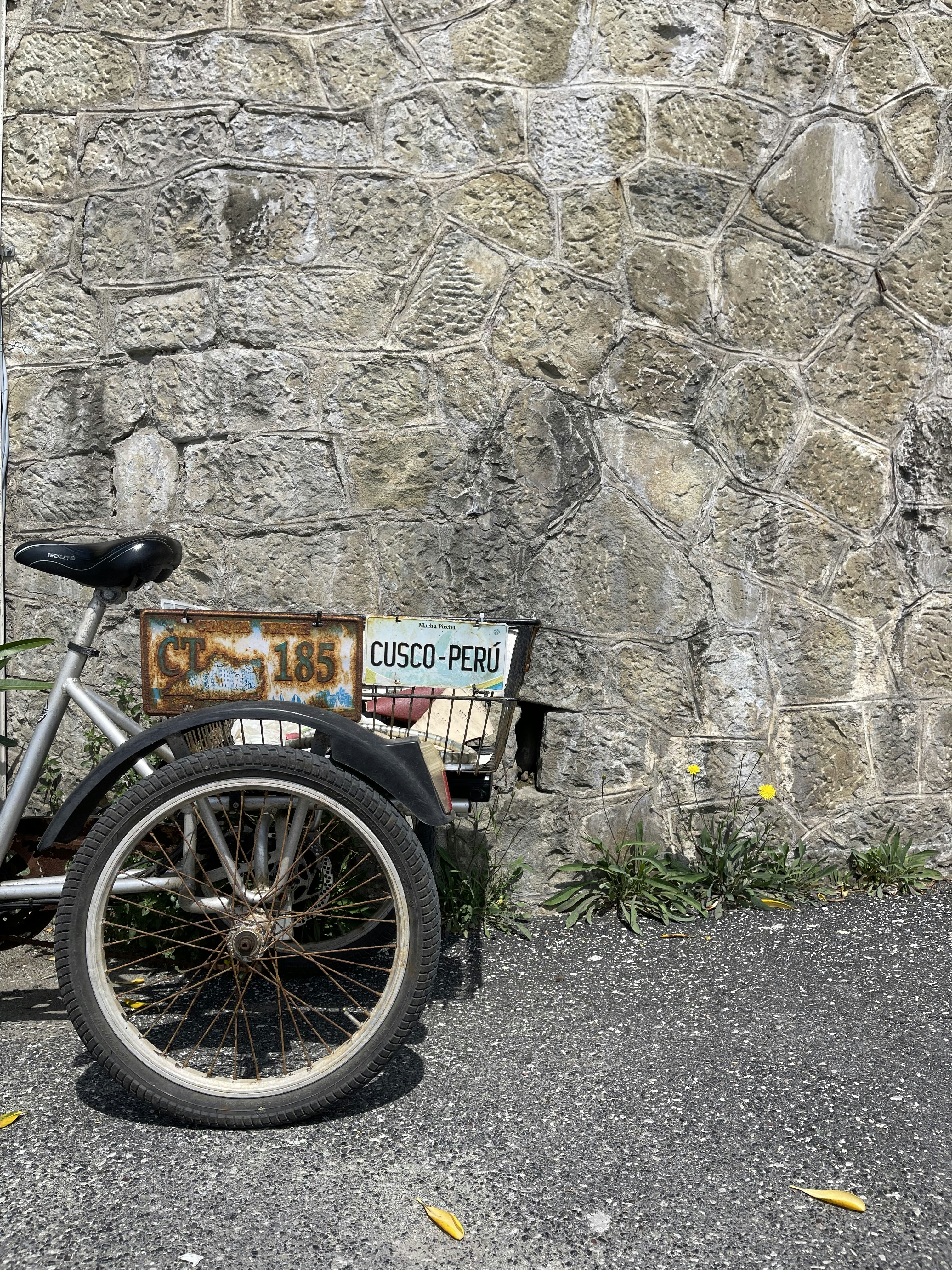 Rust and Route: A Cargo Bicycle by a Weathered Stone Wall