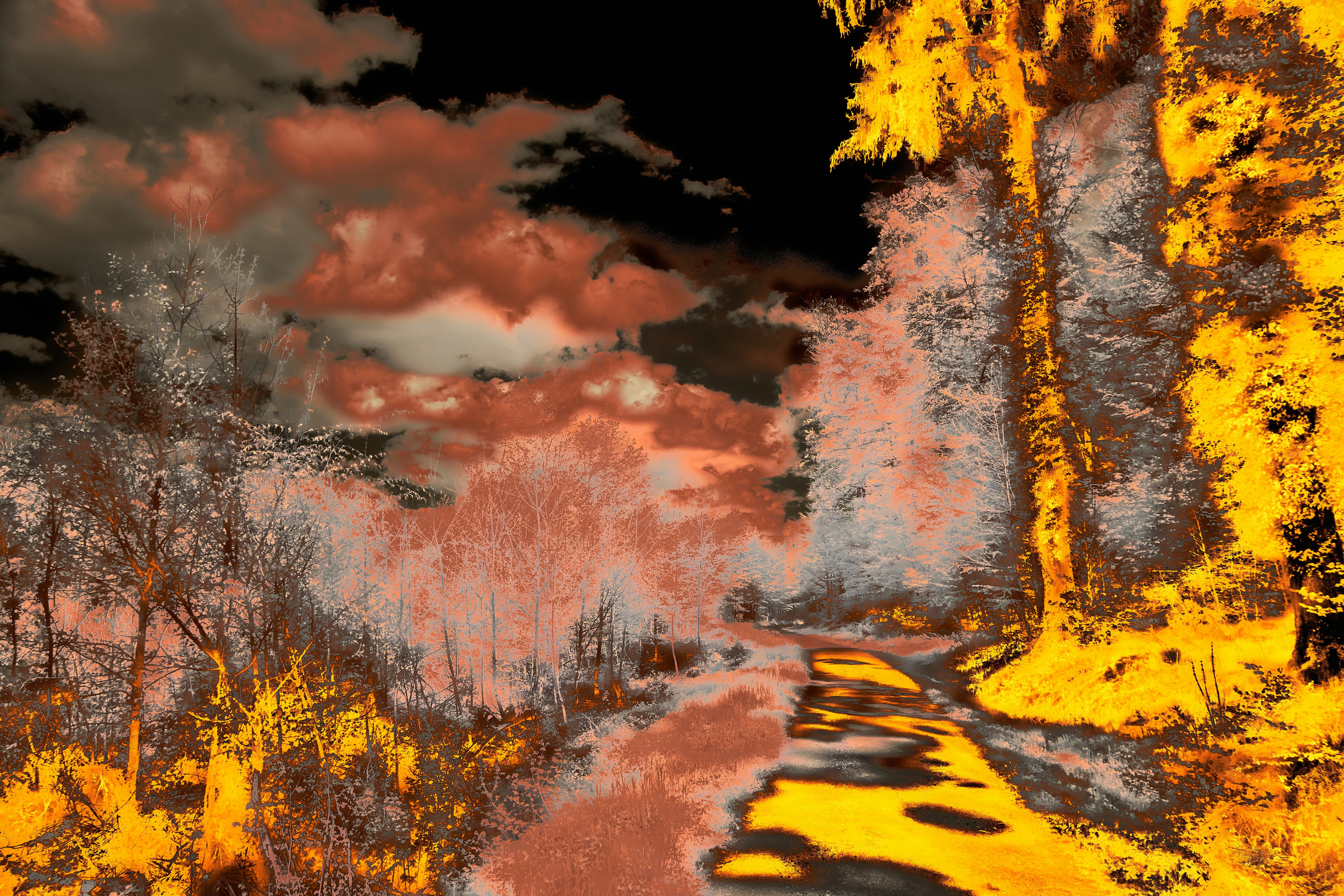Flaming Pathway Through Autumn Night