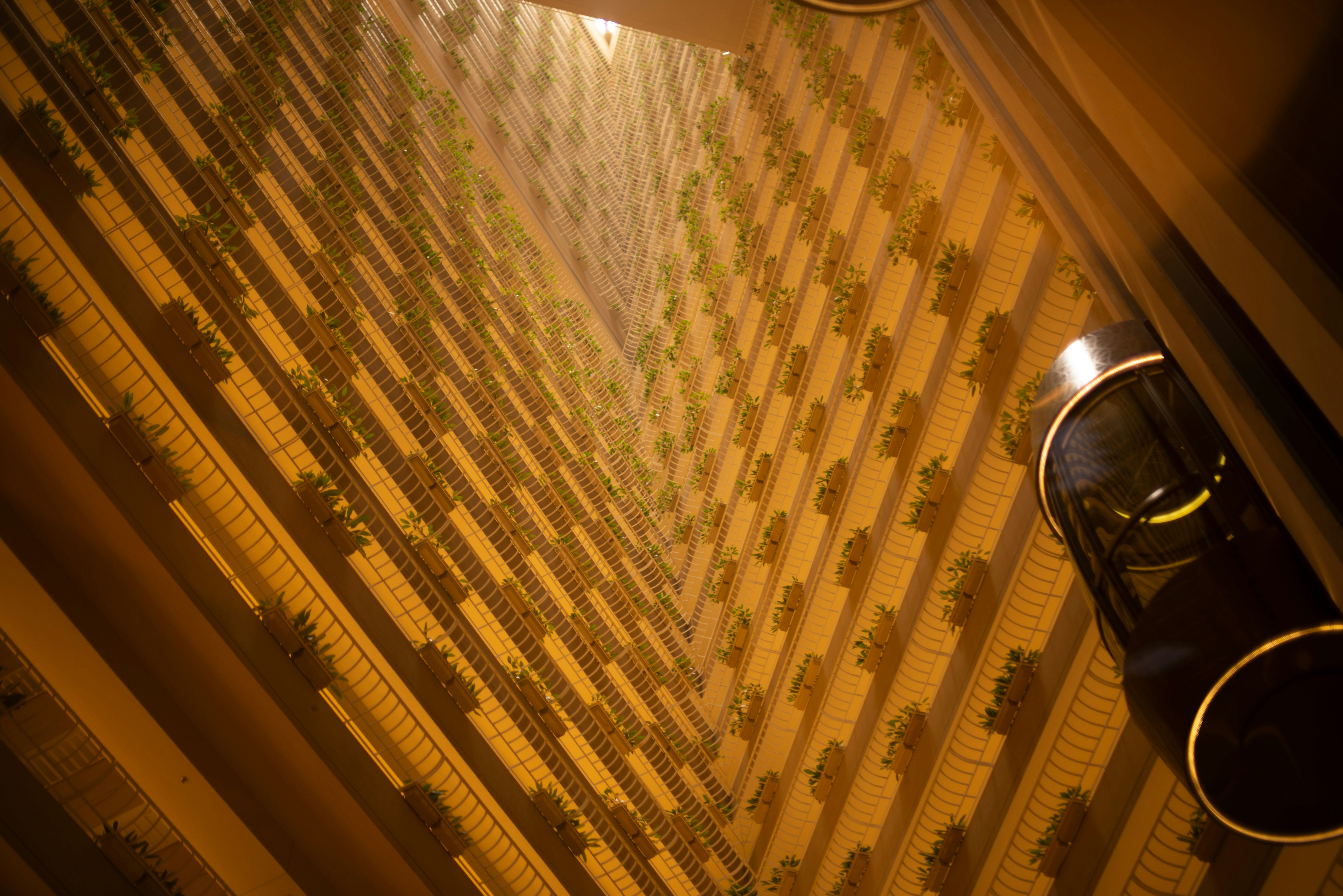 A room with a window covered in plants photo – Free Hotel Image on Unsplash