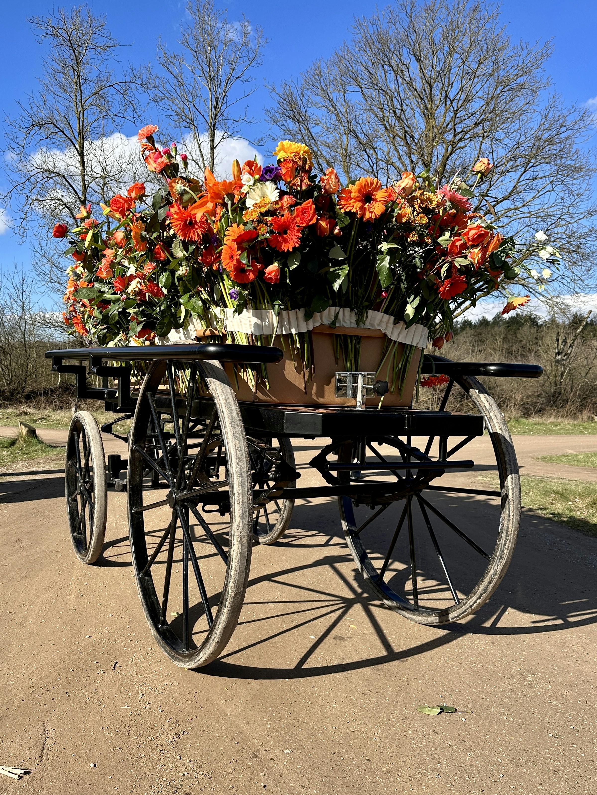 Floral Carriage on a Sunlit Path