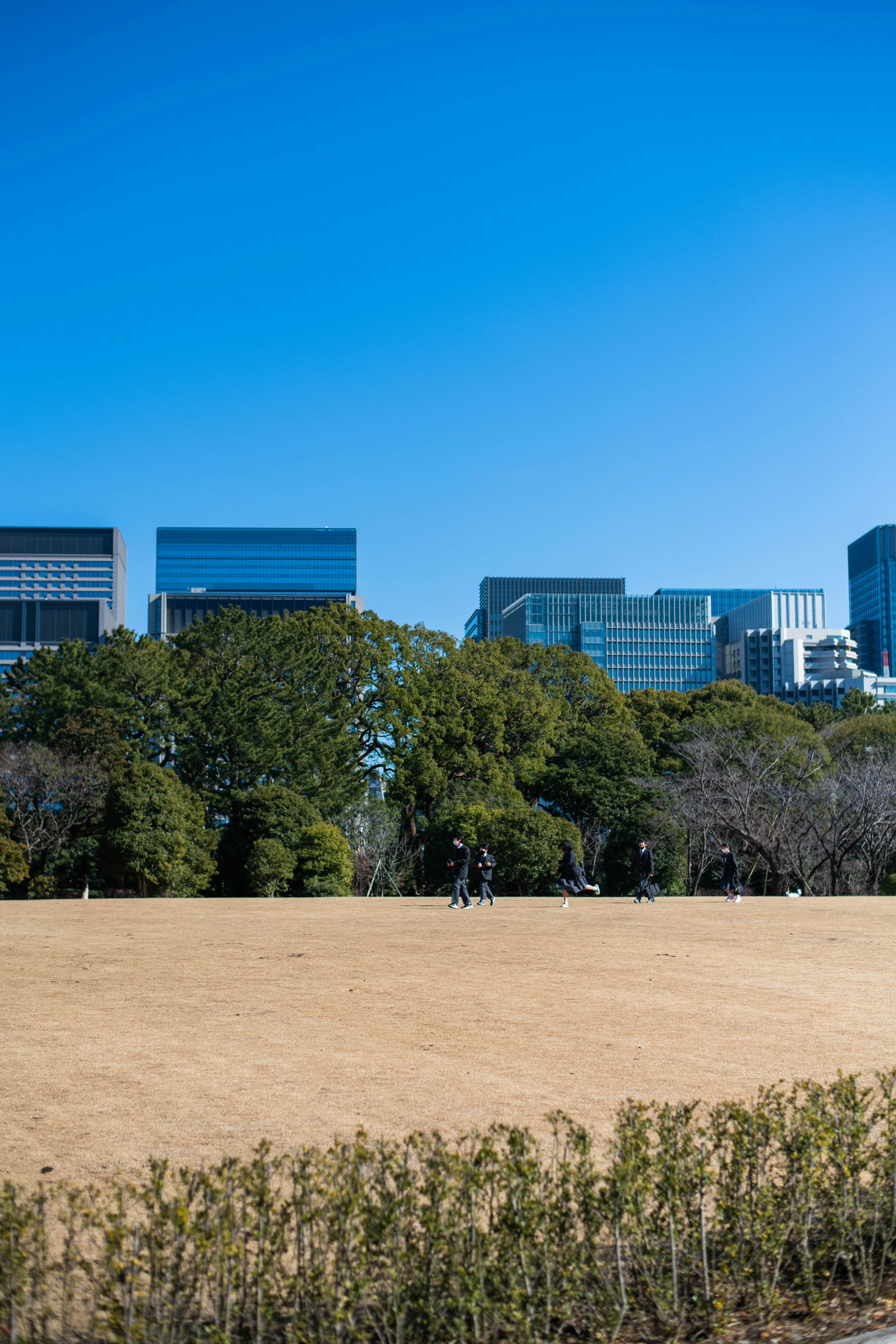 Glass Giants Over a Quiet Park Field