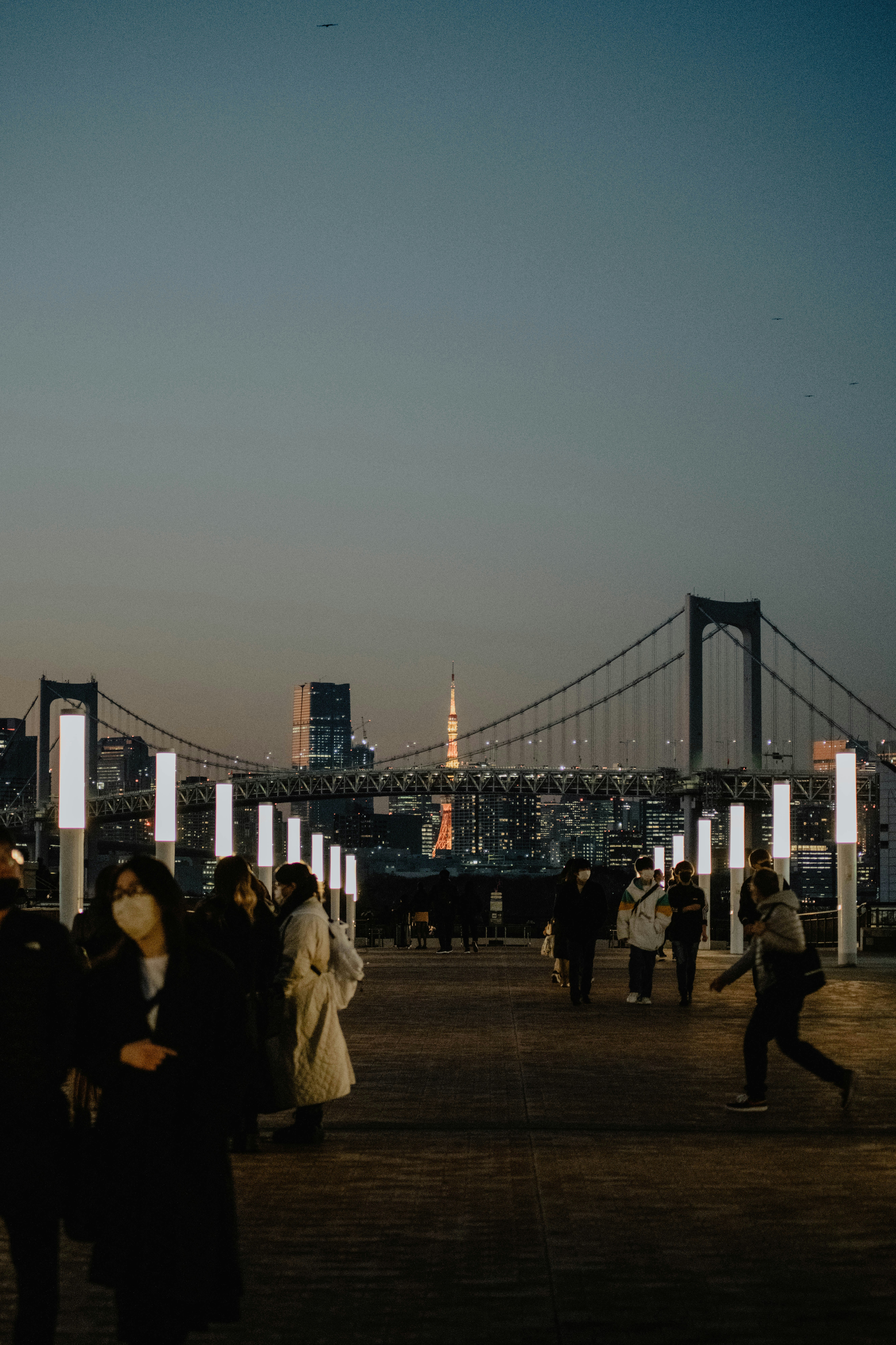 Evening Promenade Beneath the City Lights