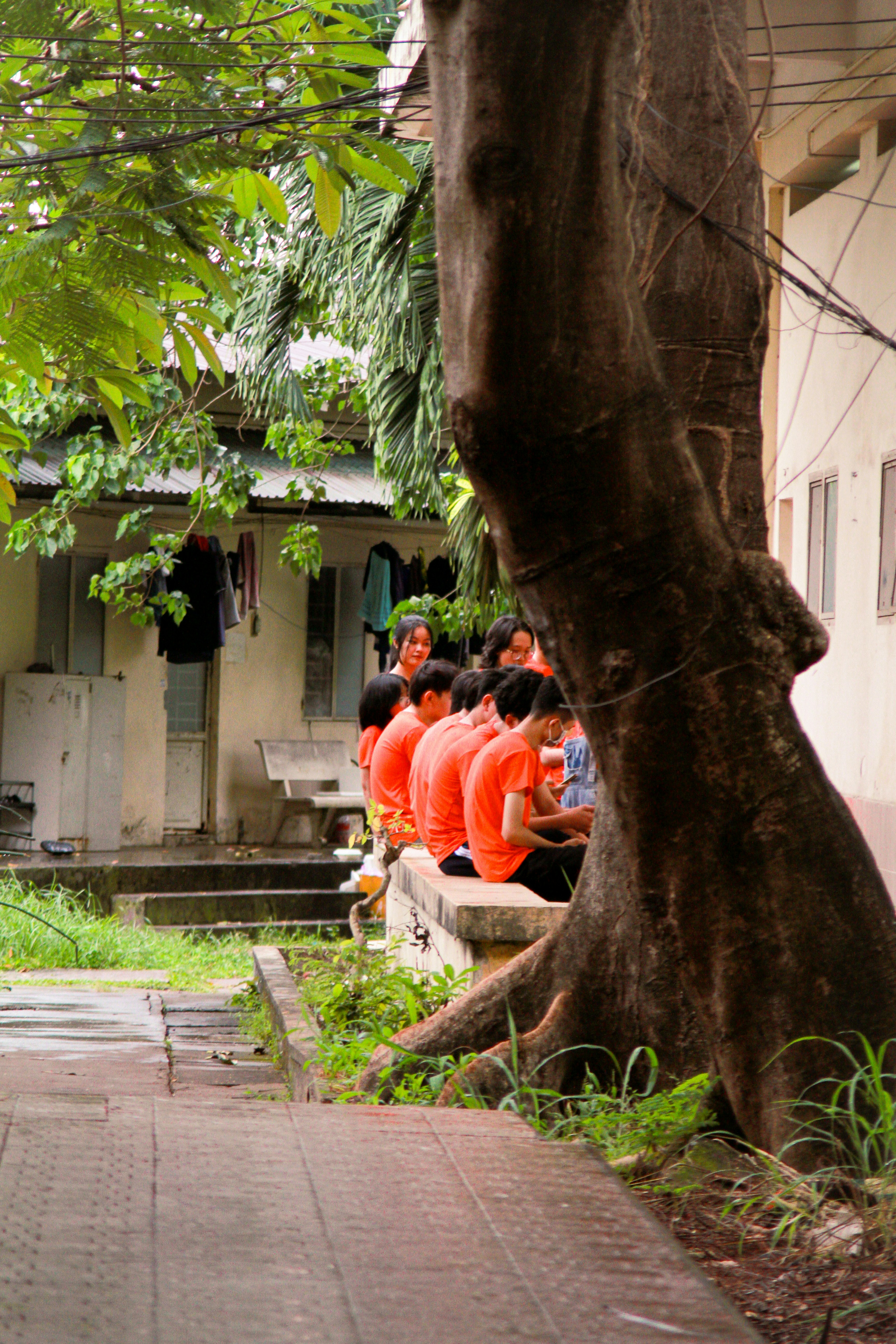 Orange-clad students gather along a courtyard bench beneath a towering tree