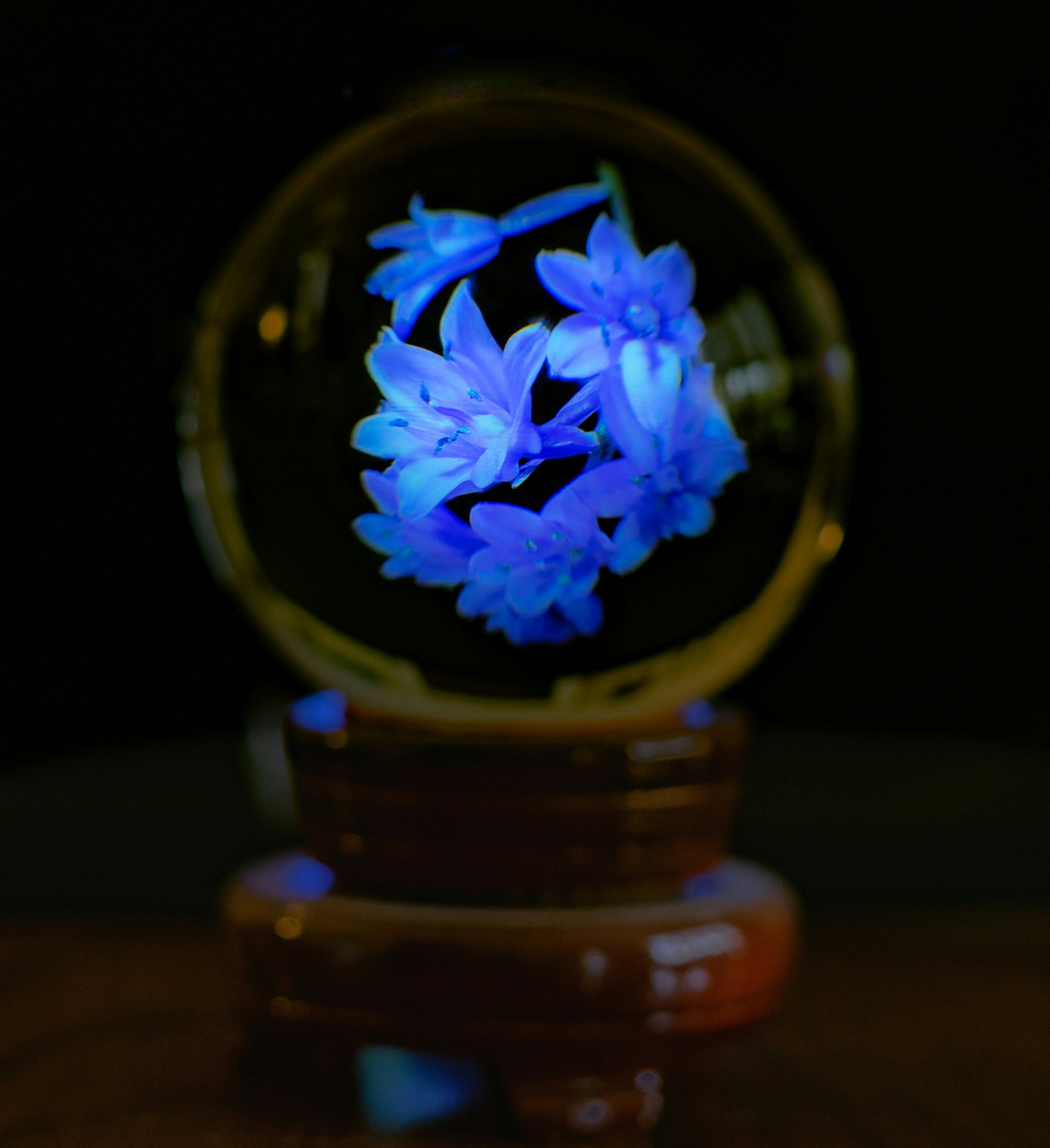 A blue flower in a glass ball on a table photo – Free Unusual Image on ...