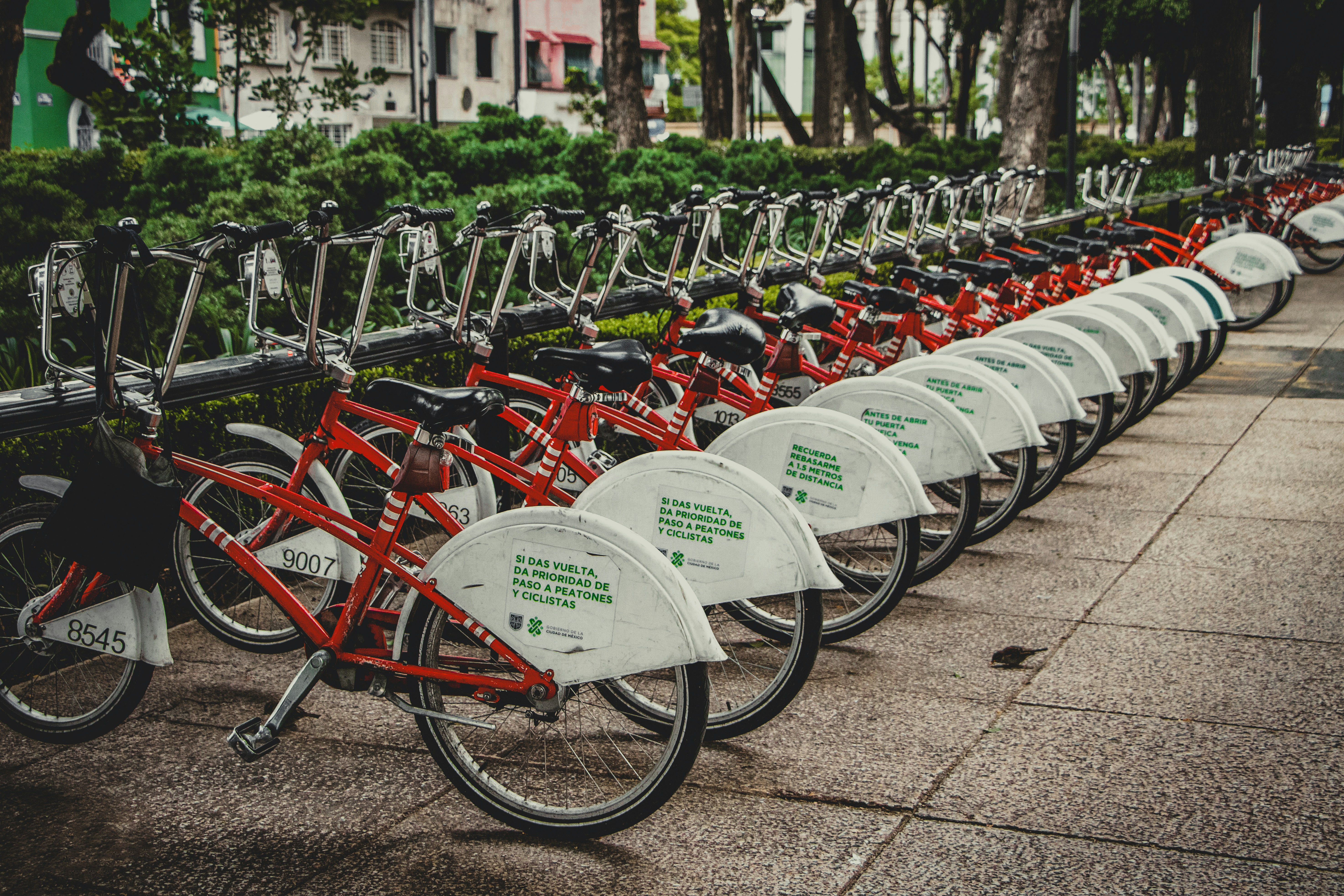 A row of red bikes parked next to each other photo – Free Ciudad de ...