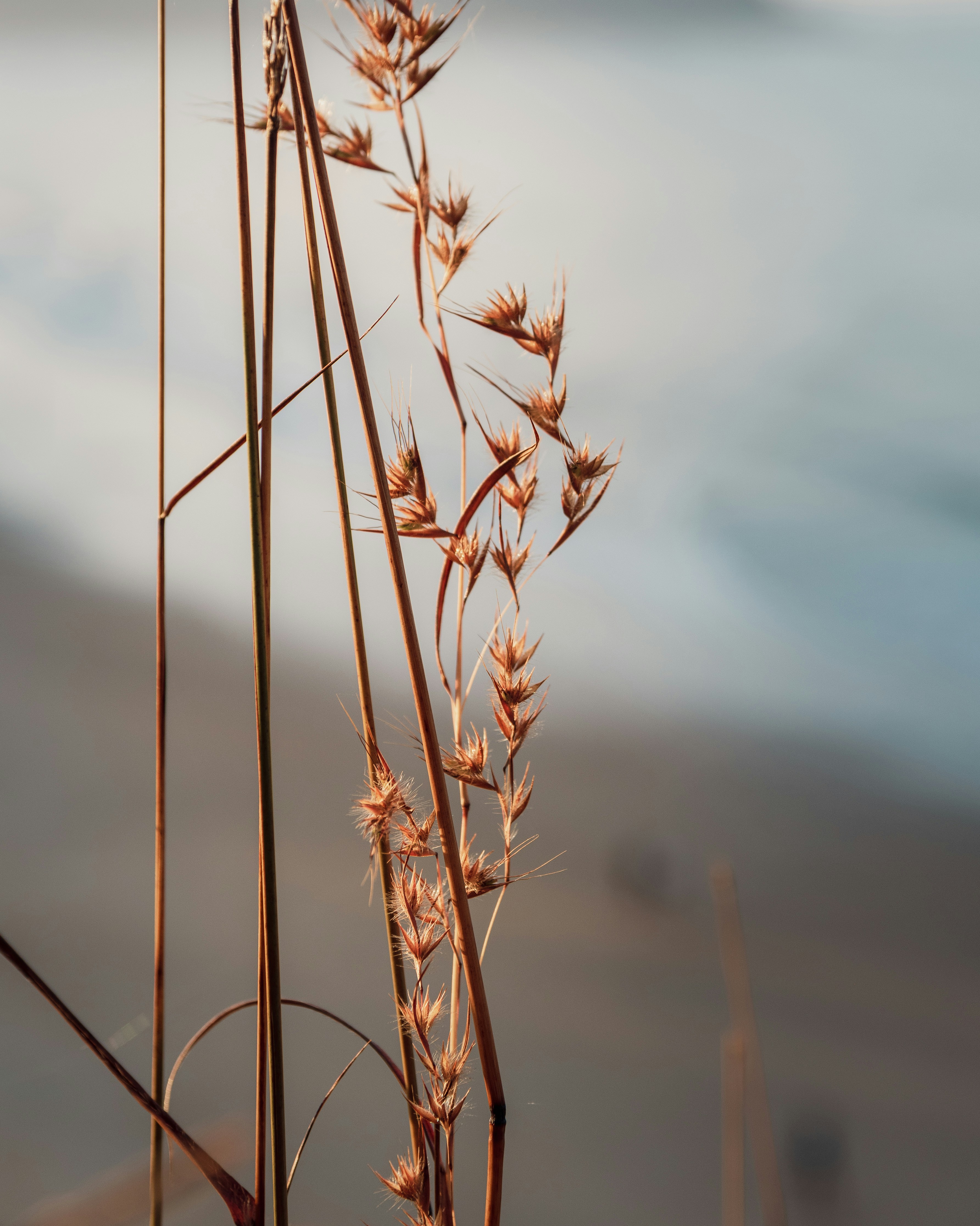 Photo by Mariam G with Nikon D5600