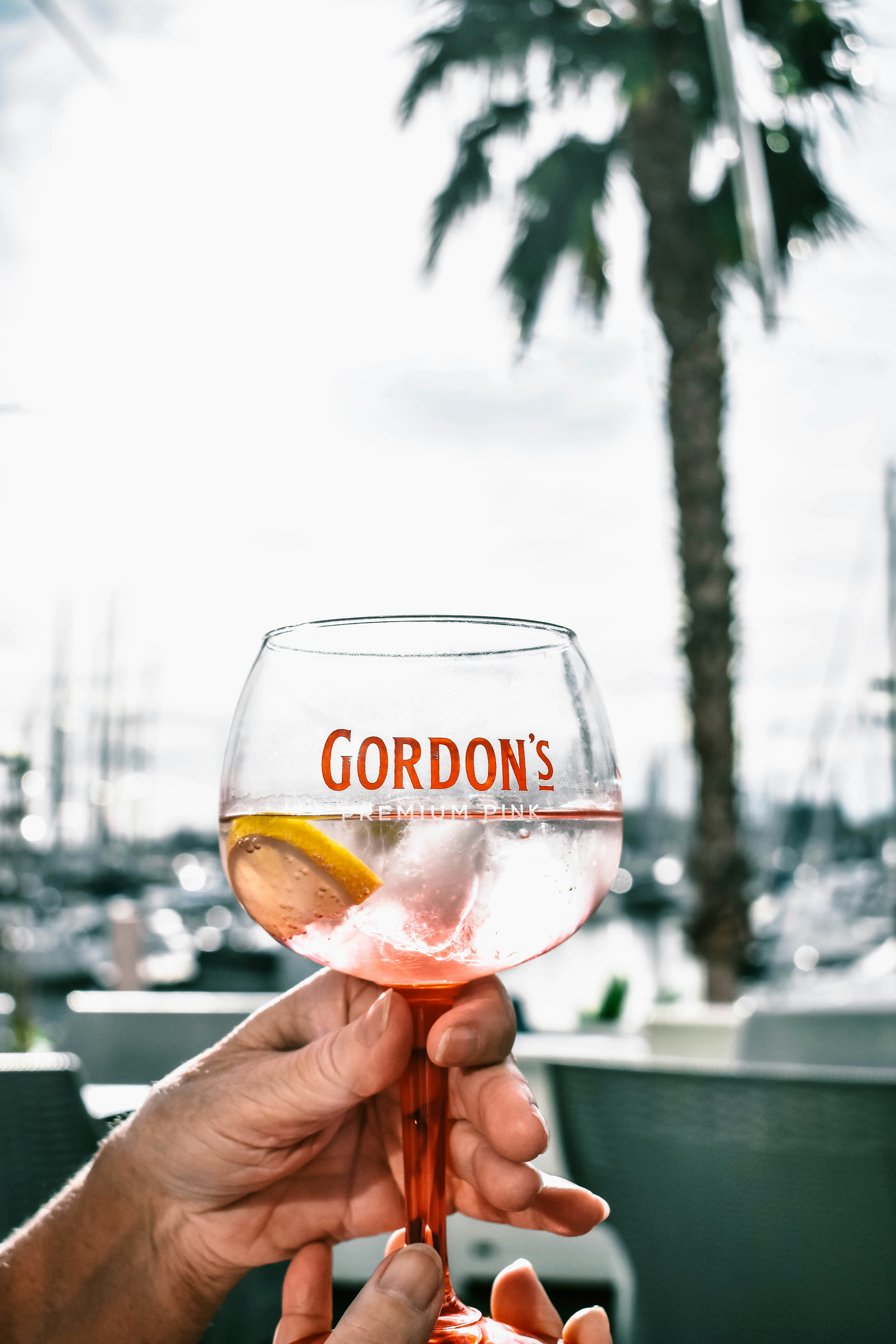 Gordon's Glass in a Palm-Fringed Marina Toast