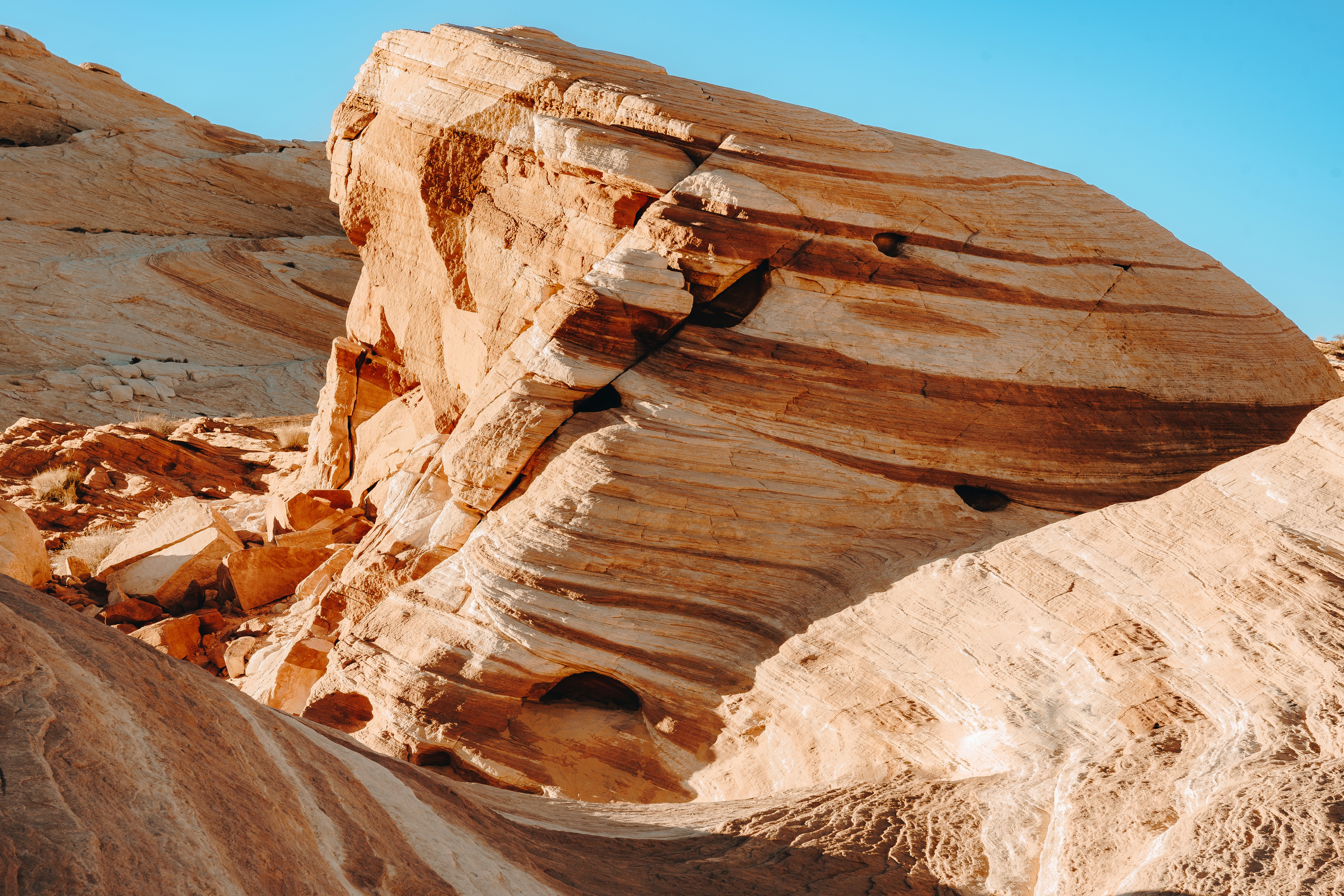 Photo by Enoc Jimenez with Sony Alpha 7 III