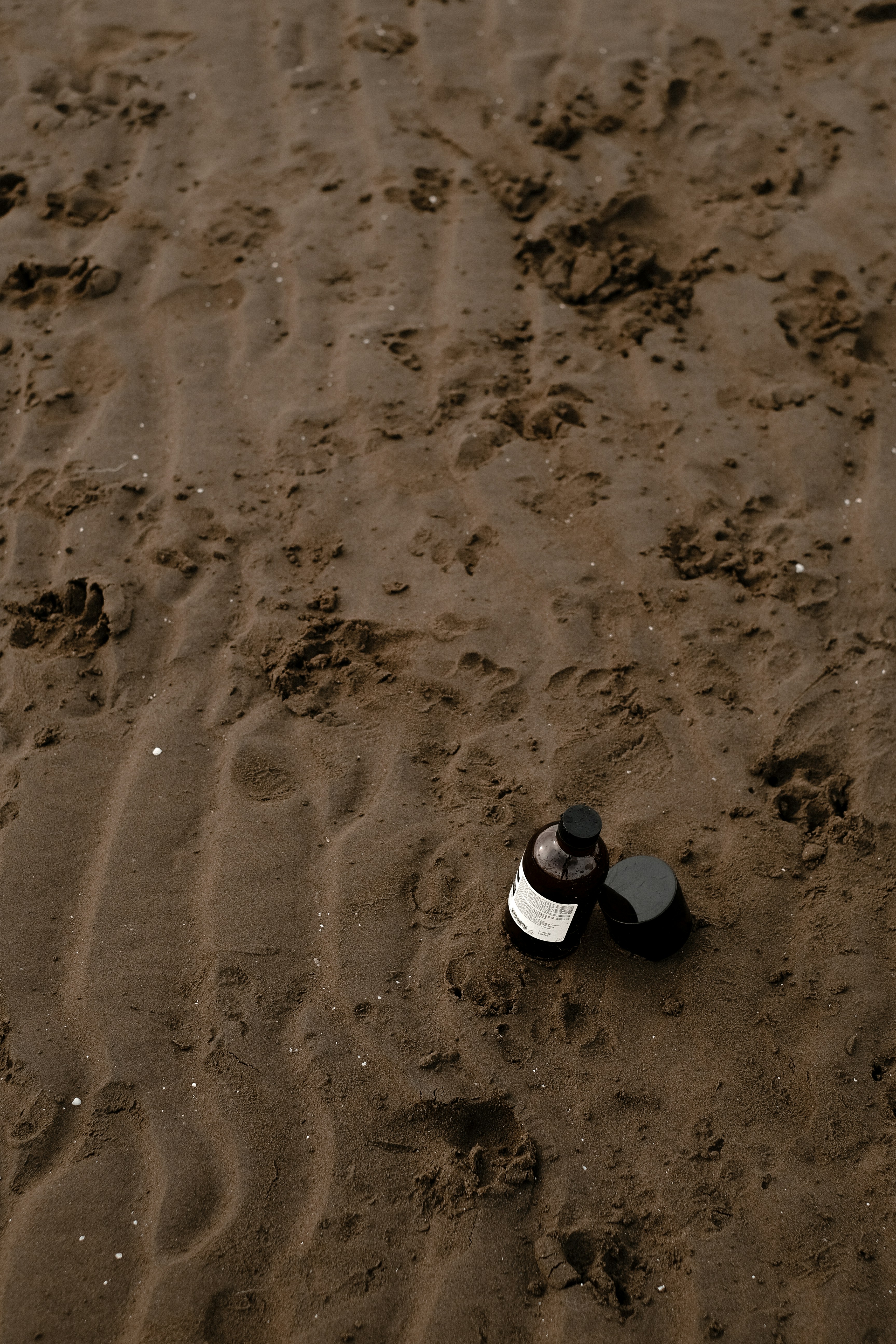 Bottle on Sands: A Quiet Moment of Weathered Glass