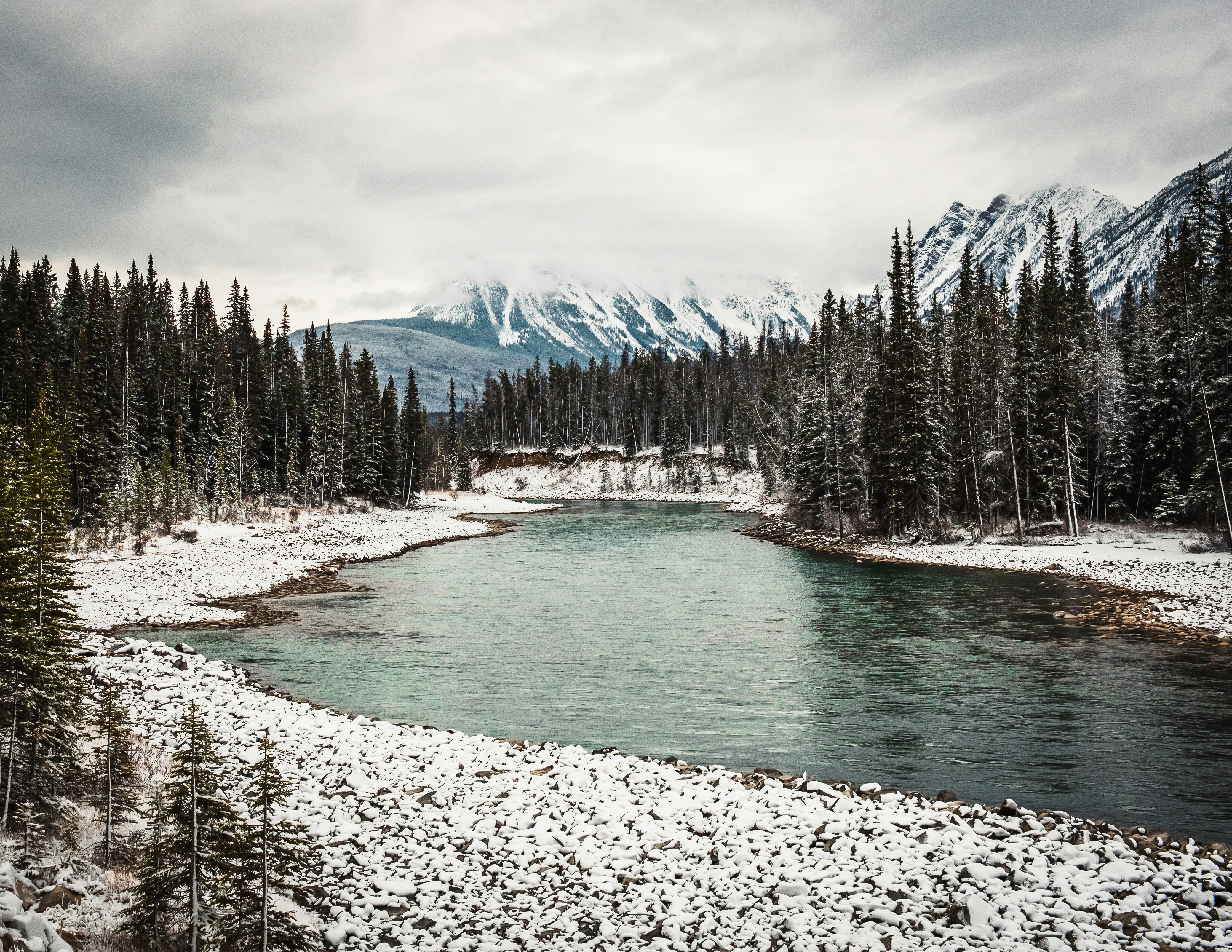 Glacial River Wedges Between Snowbound Pines