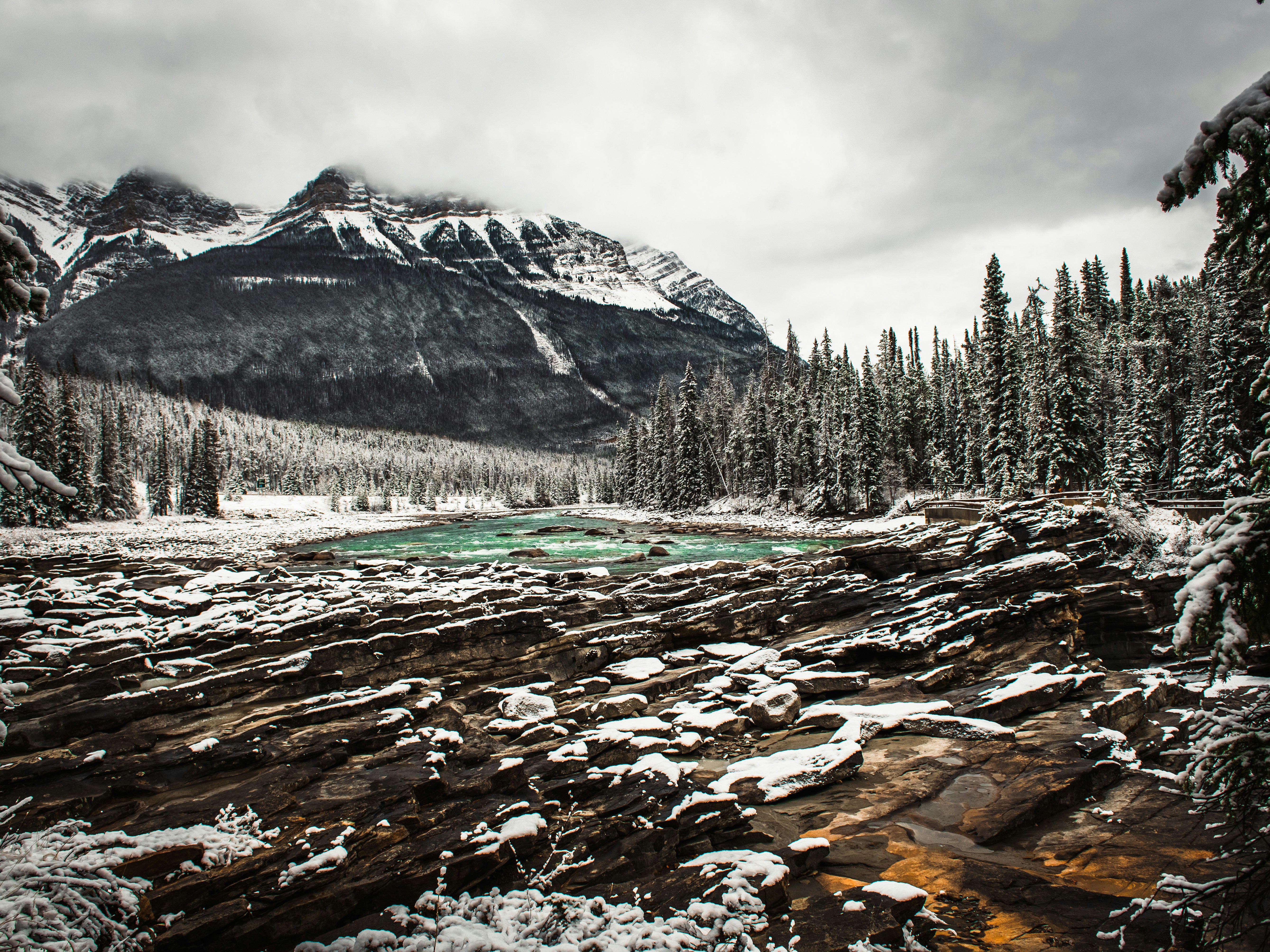 Glacial Turquoise: Snow-Crowned Basin Framed by Pines and Peaks