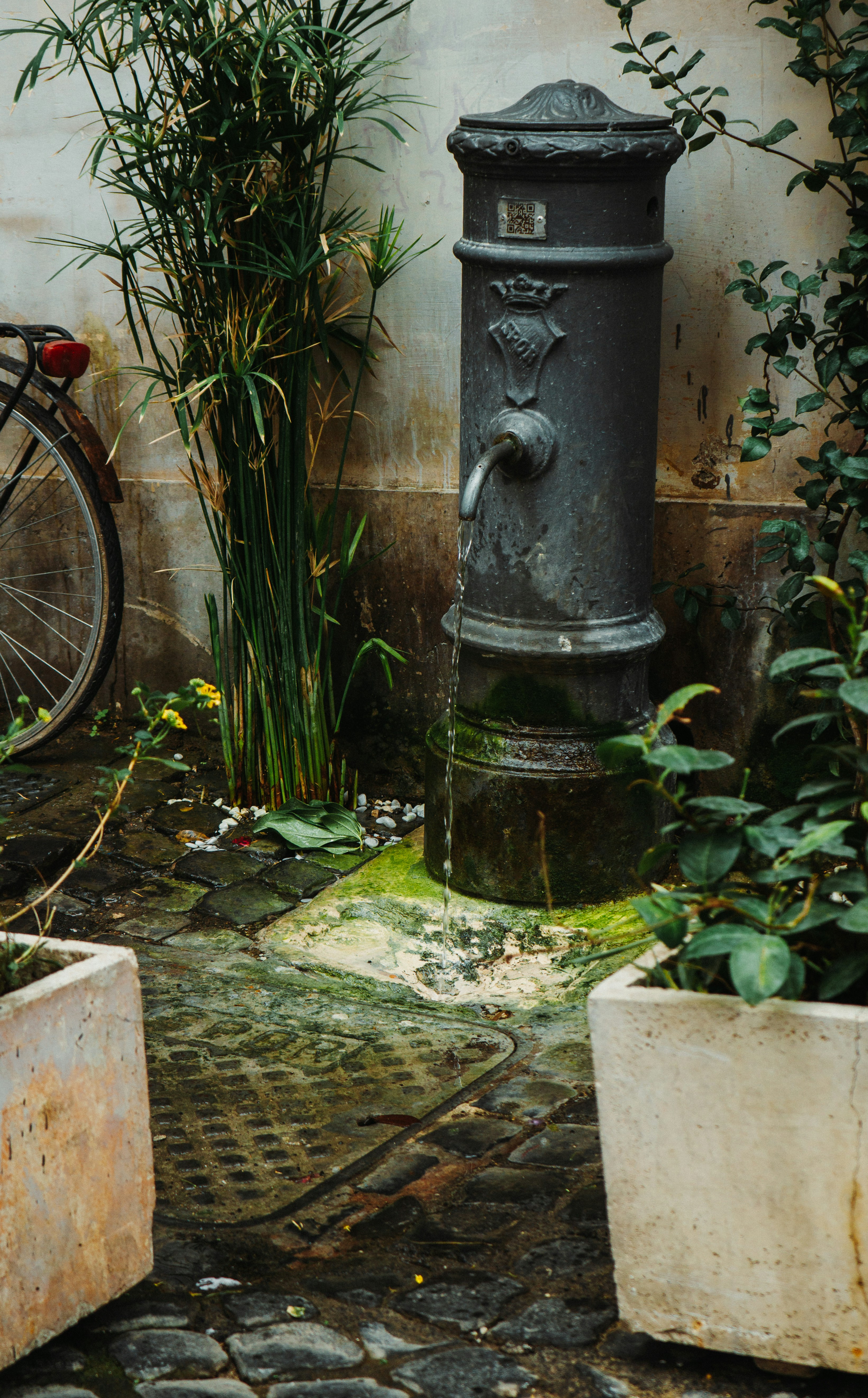 A fire hydrant sitting next to two planters photo – Free Rome Image on ...