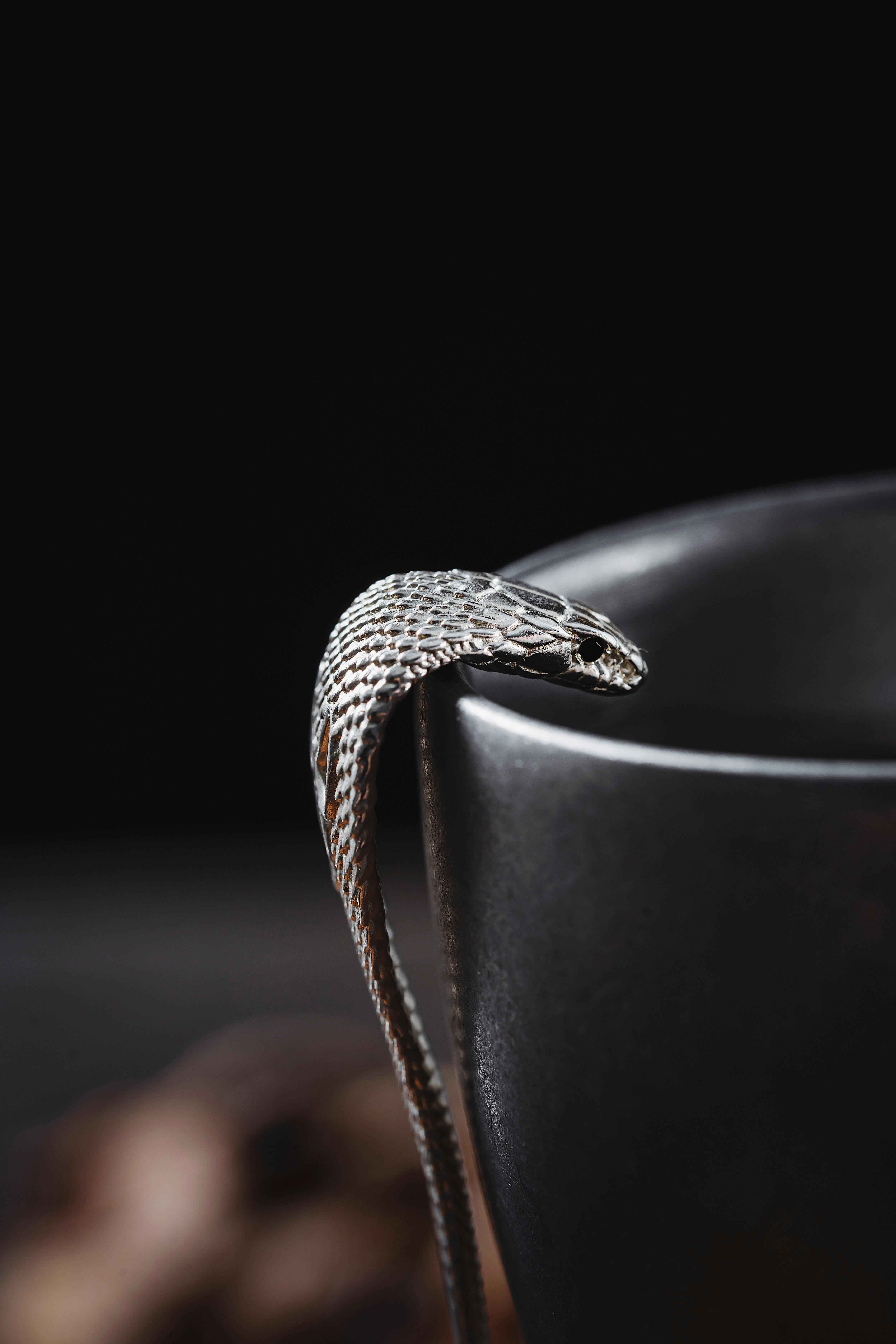 Coiled Silence: A Snake Drape over a Darkened Cup