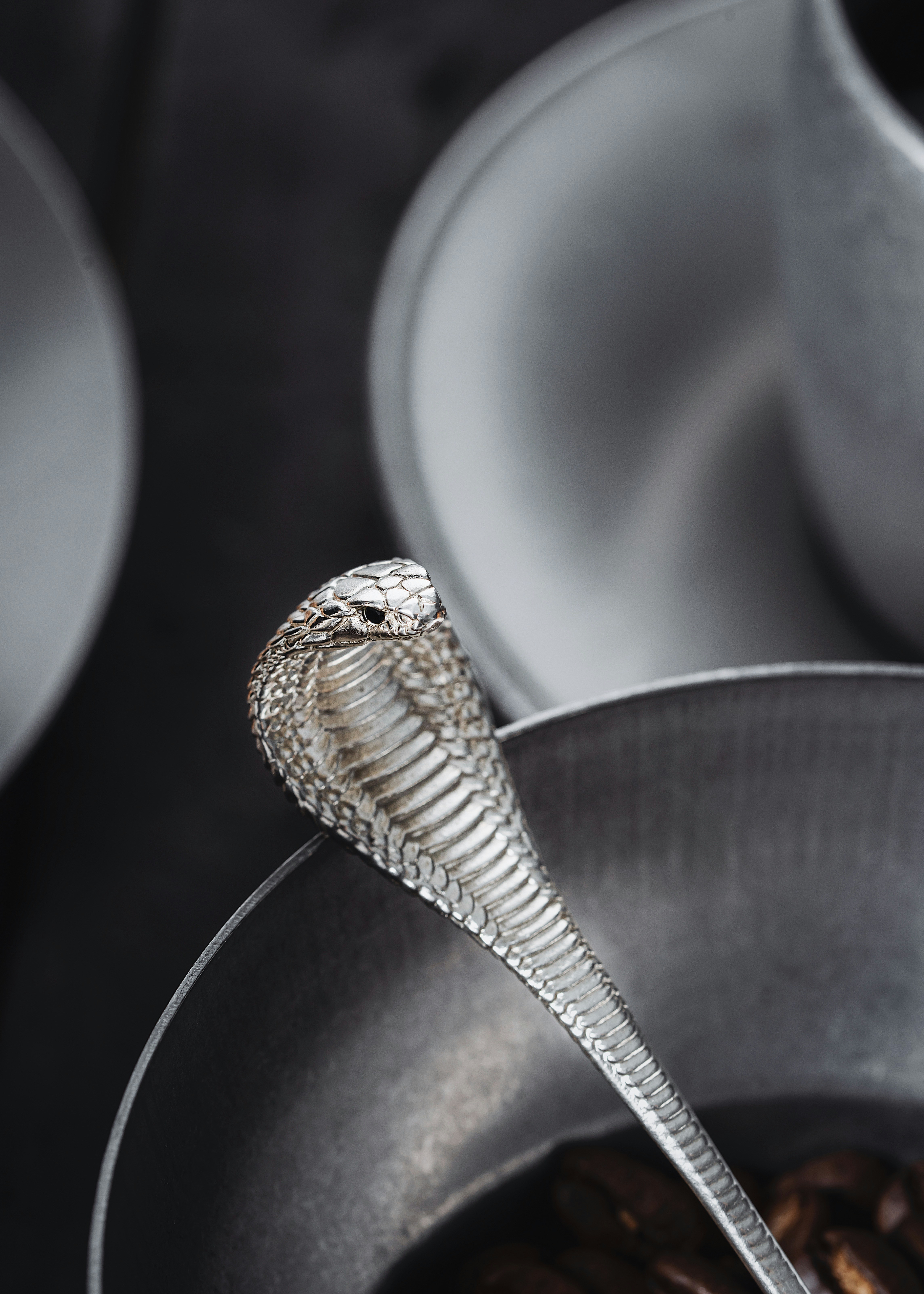 A metal spoon with a snake inside of it photo – Free Cutlery Image on ...