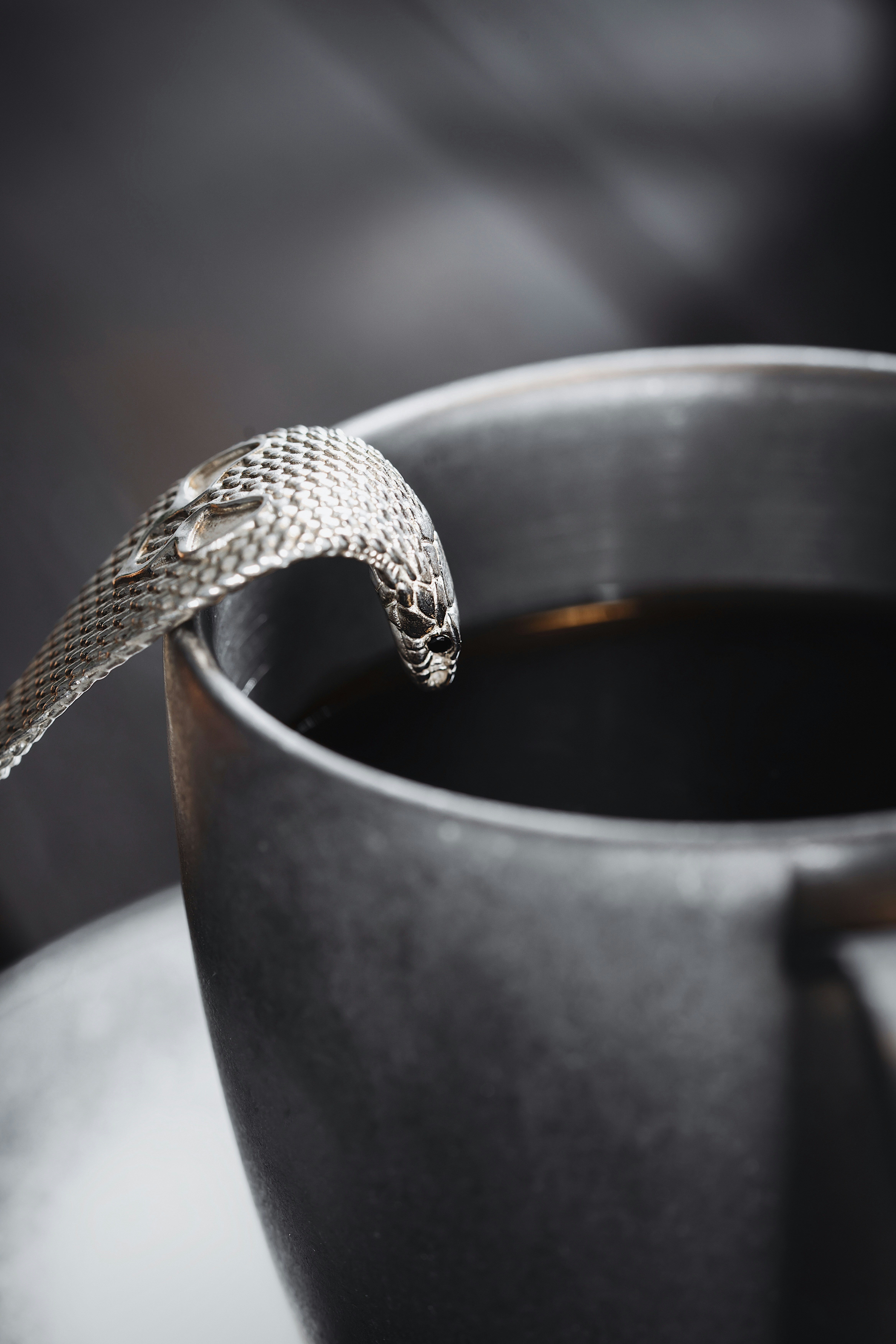 Curved Silent Sentinel: A Snake Curves over a Dark Vessel