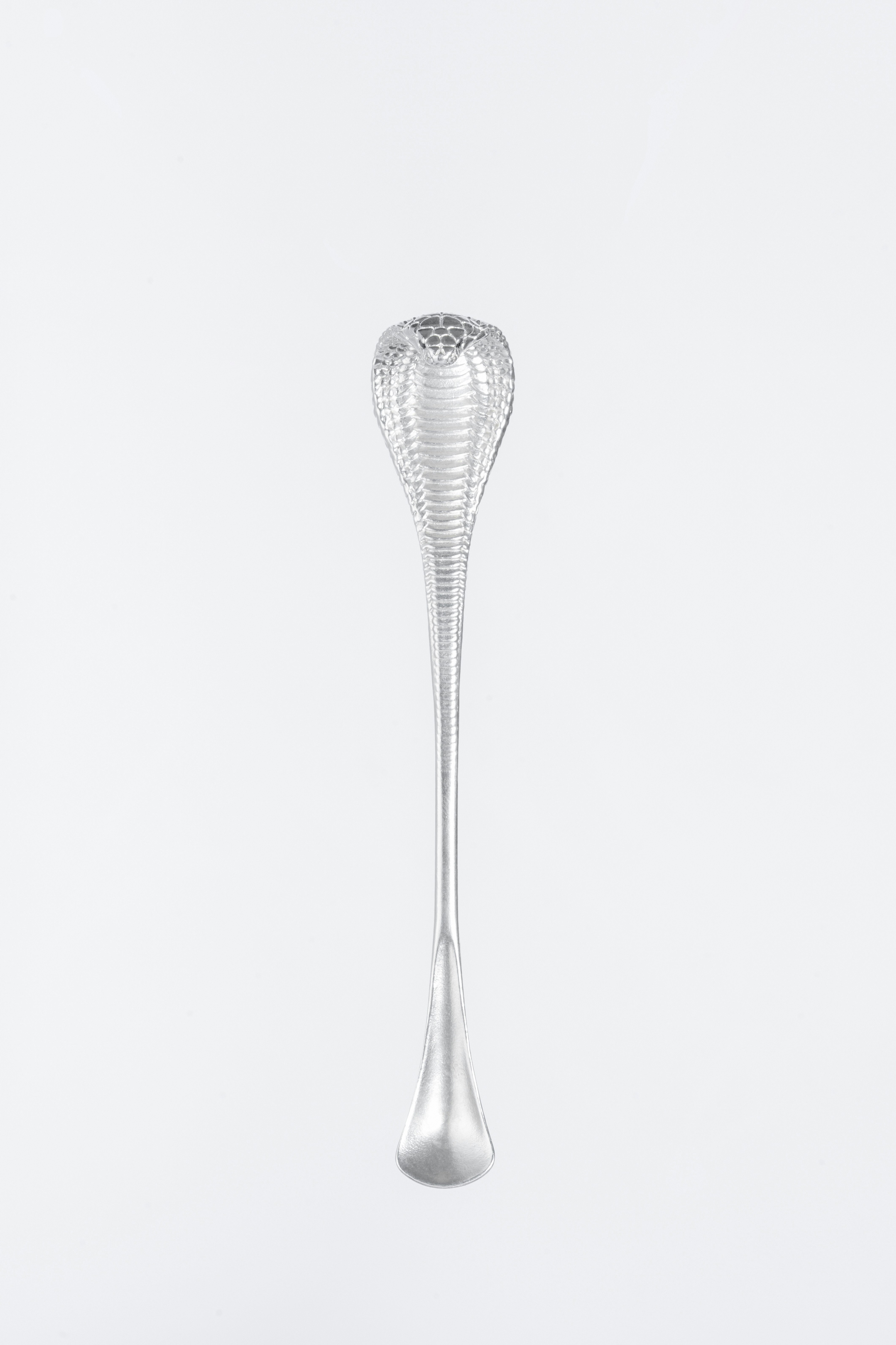 A silver spoon with a snake design on it photo – Free Spoon Image on ...