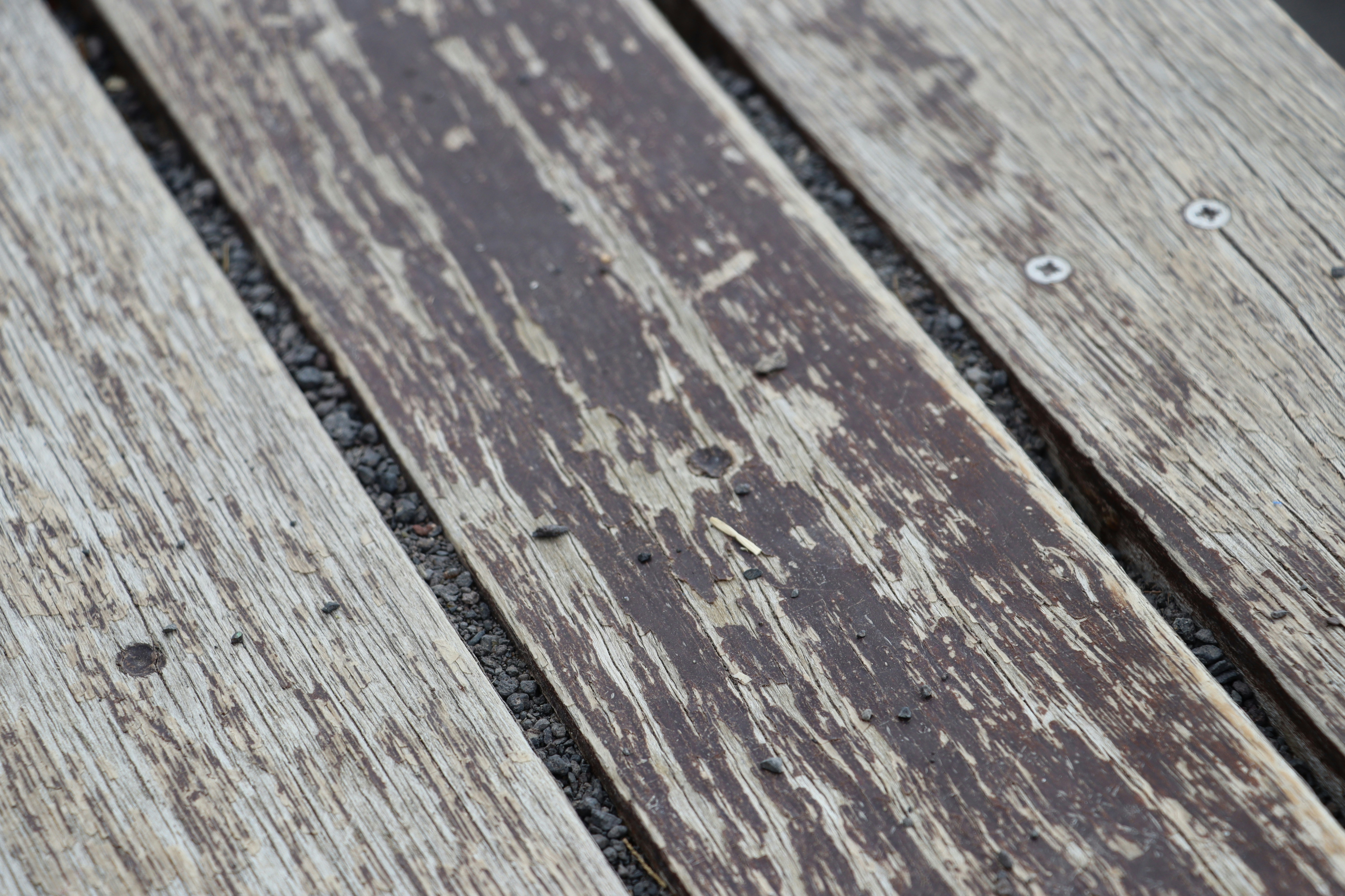 Close-up of aged wooden planks showcasing intricate textures and natural wear. The scene highlights the beauty of decay and the passage of time.