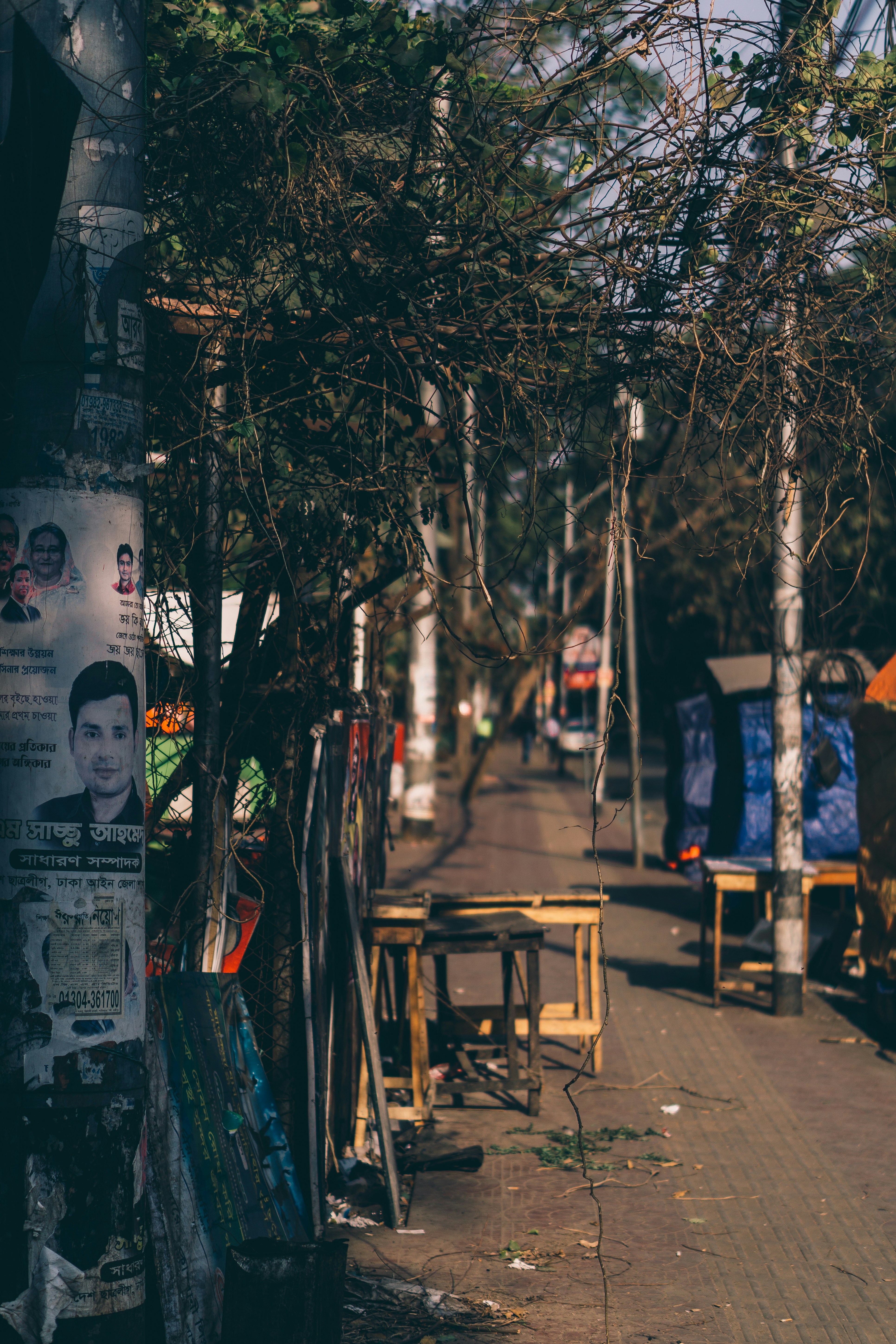 Noon Pictures | Download Free Images on Unsplash